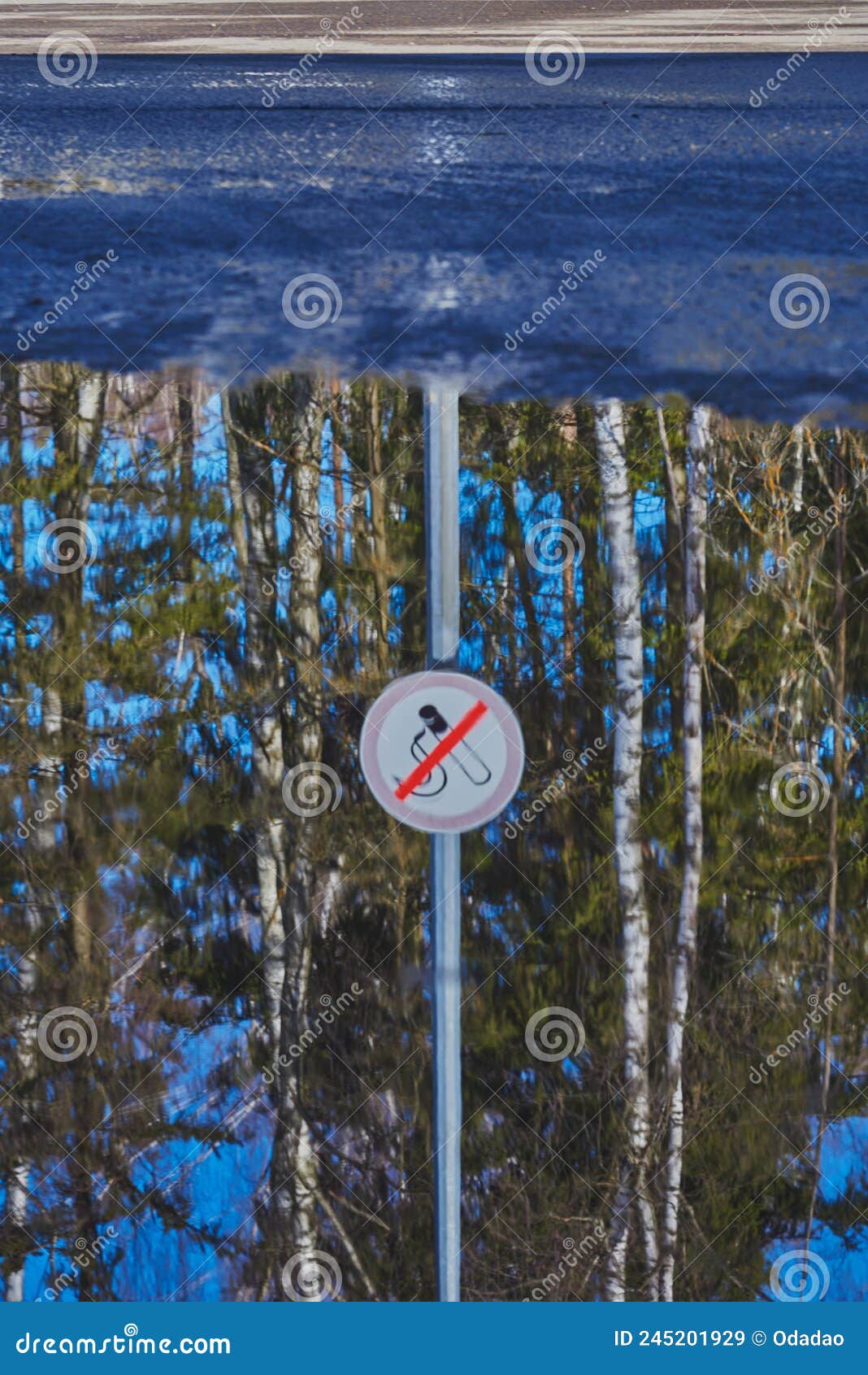 A Blurry Reflection in a Puddle. a No Smoking Sign on a Pole . Stock ...