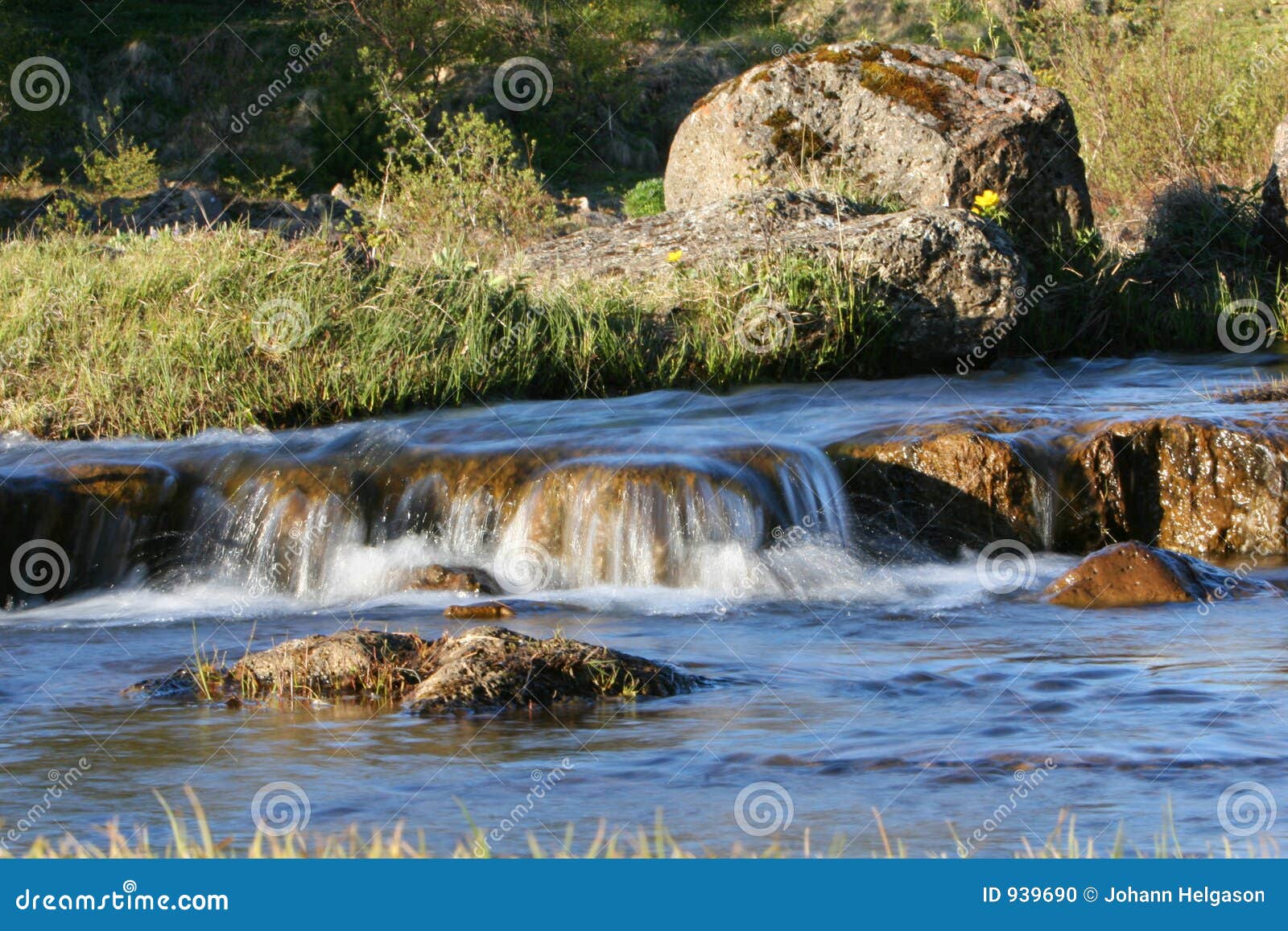 Blurry river stock photo. Image of fern, clear, fresh, lush - 939690
