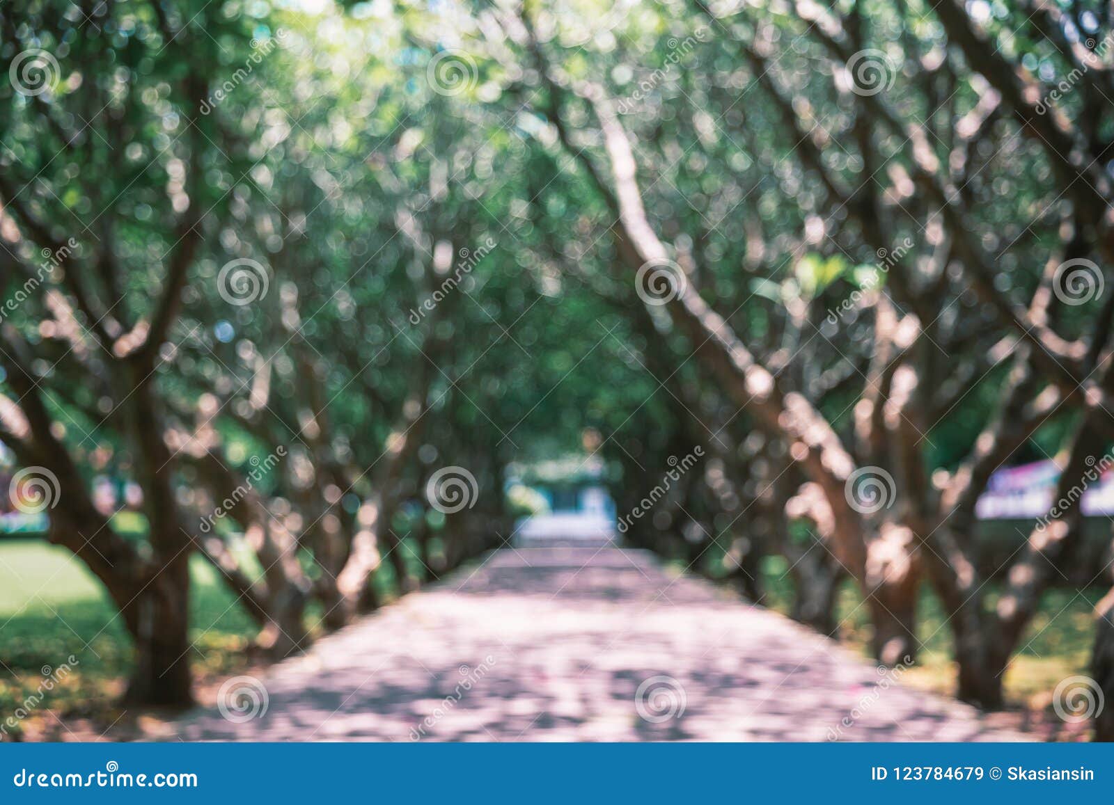 Blurry Scene of Walkway Under Tree Stock Image - Image of trail ...
