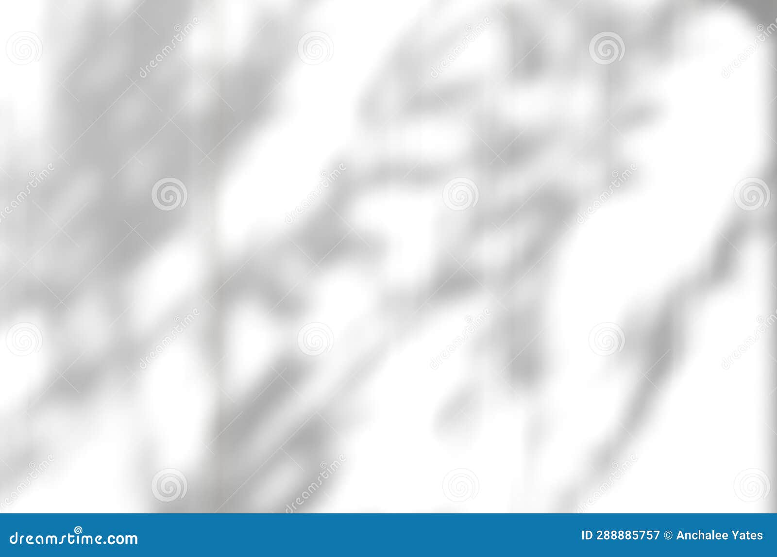 Blurry Shadow Leaves with Light on White Curtain, Shadow Tree with ...