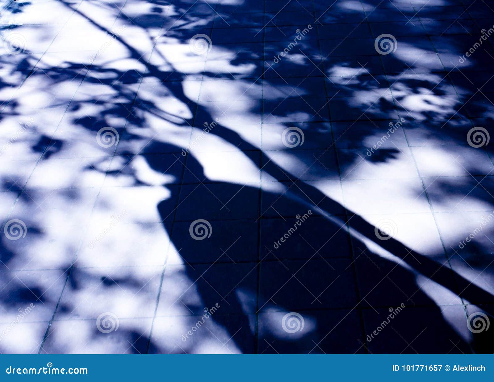 Blurry Shadow Silhouette Of A Person Walking In The Night, Detail Stock ...