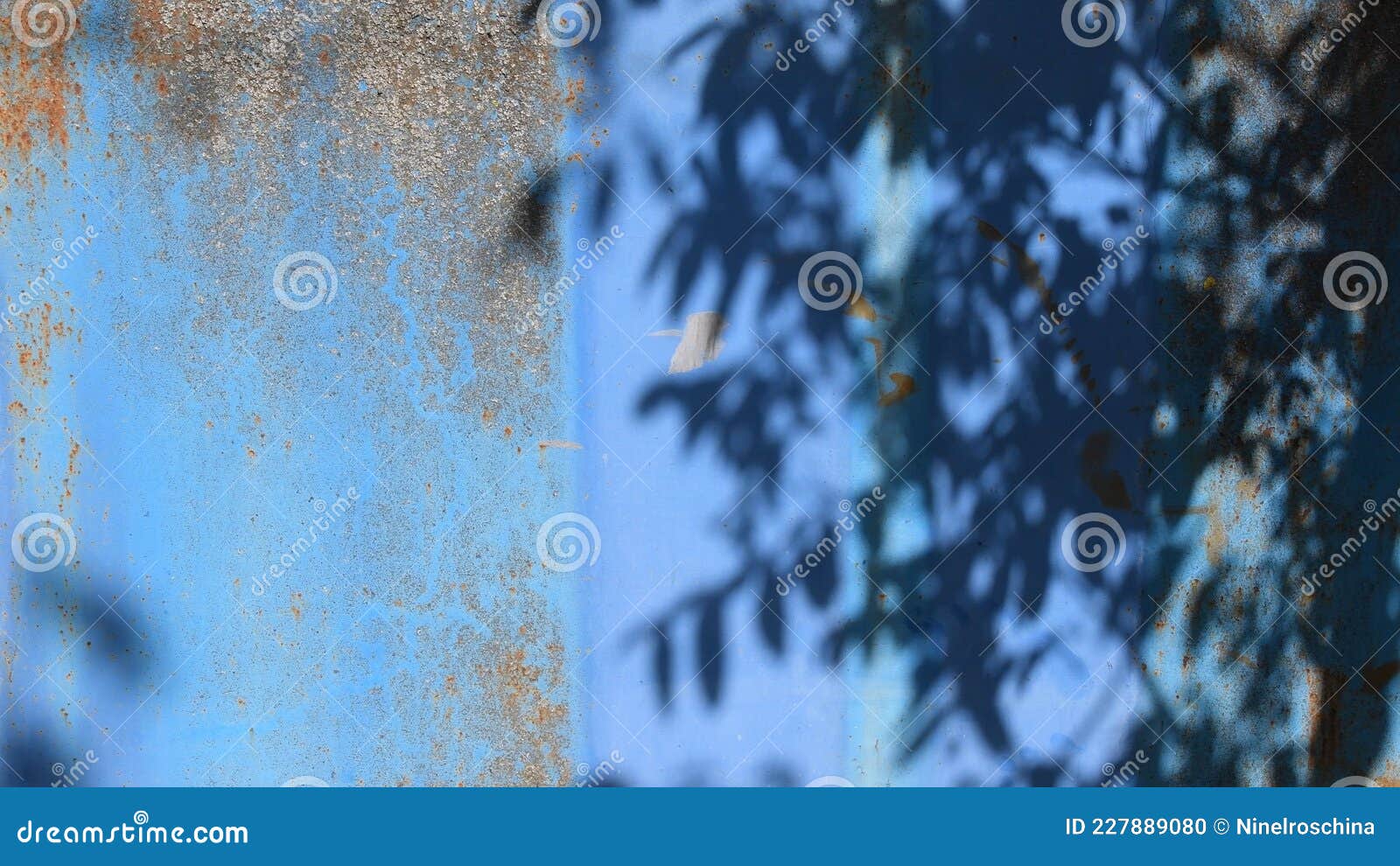 Shadow Pattern of Fluttering Tree on Rusty Blue Painted Background with ...