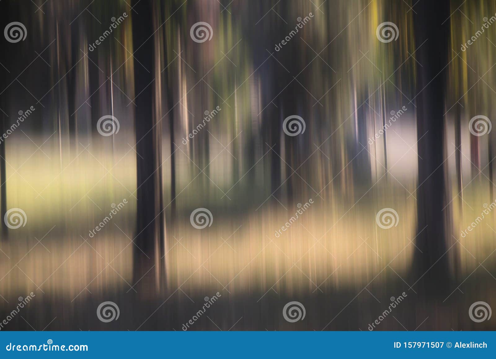 Blurry Smooth Trees in the Woods Stock Image - Image of silhouettes ...