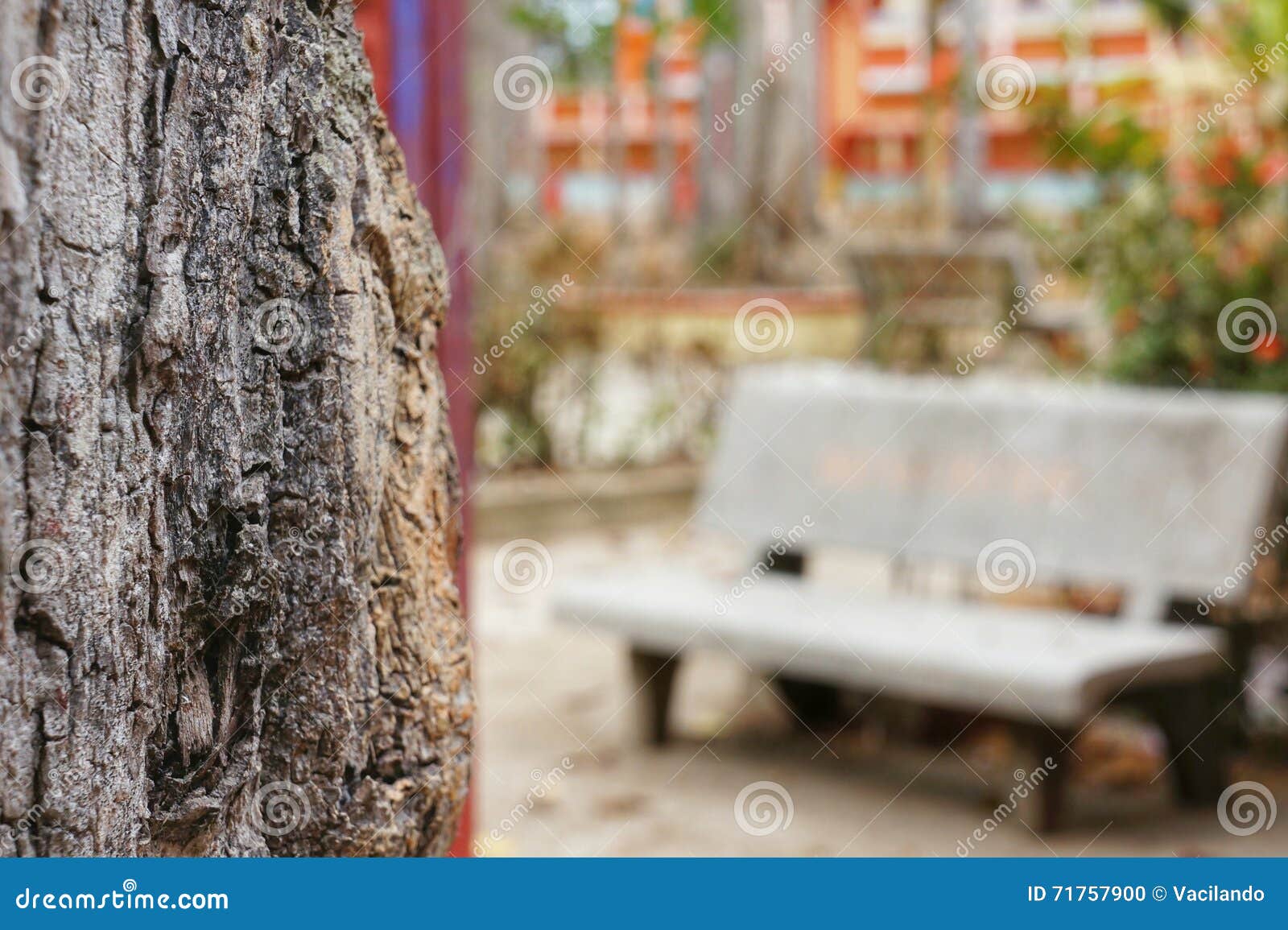 Blurry Unfocused Bench beside Focused Tree Trunk. Stock Photo - Image ...