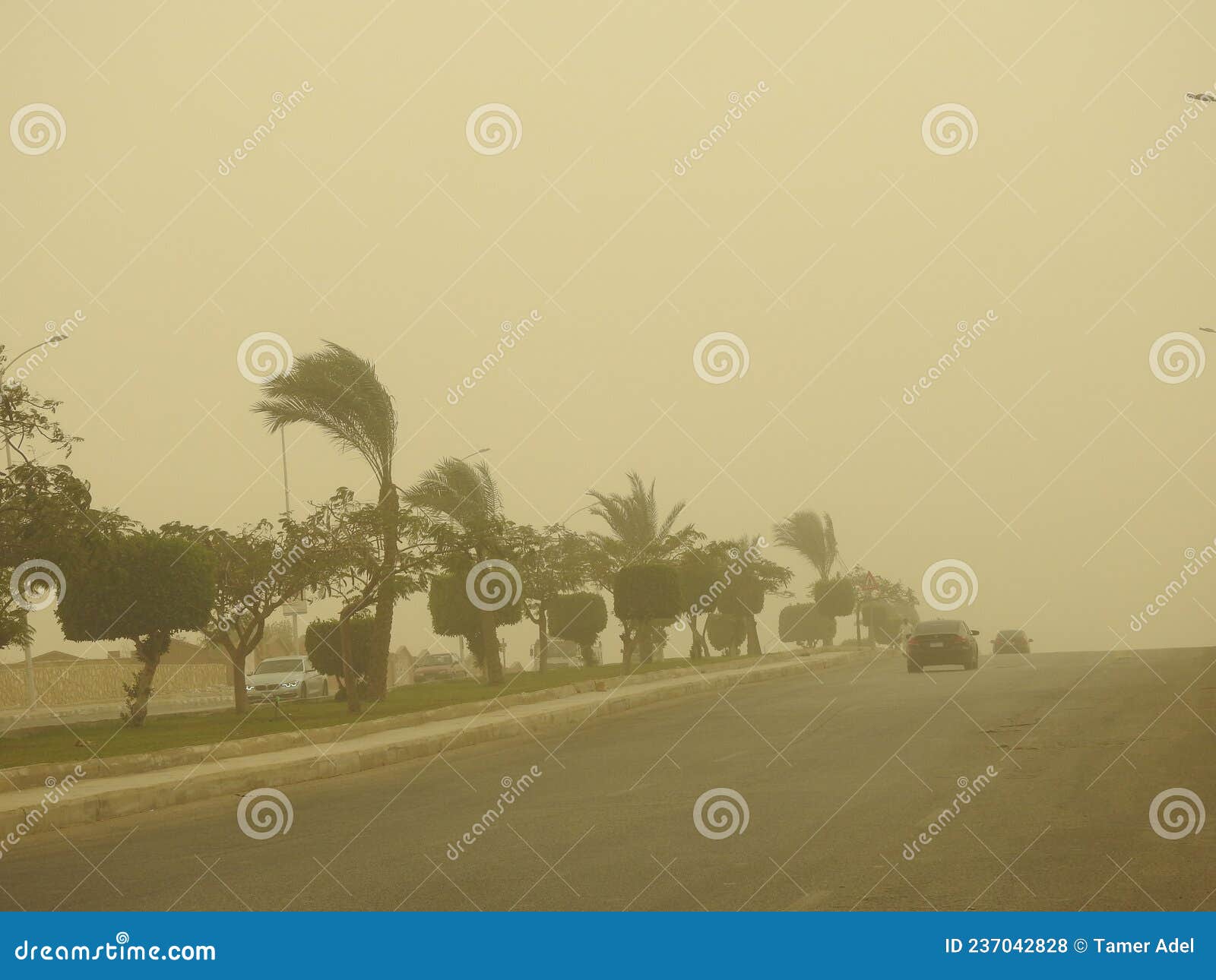A Blurry View during a Sandstorm Hitting Egypt with the Increase of ...