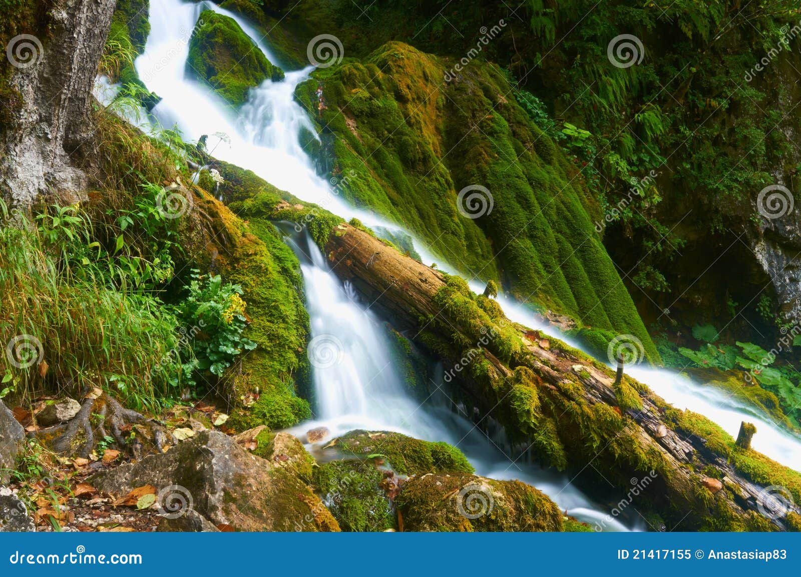 Blurry Waterfall with the Fallen Tree Stock Image - Image of blurry ...