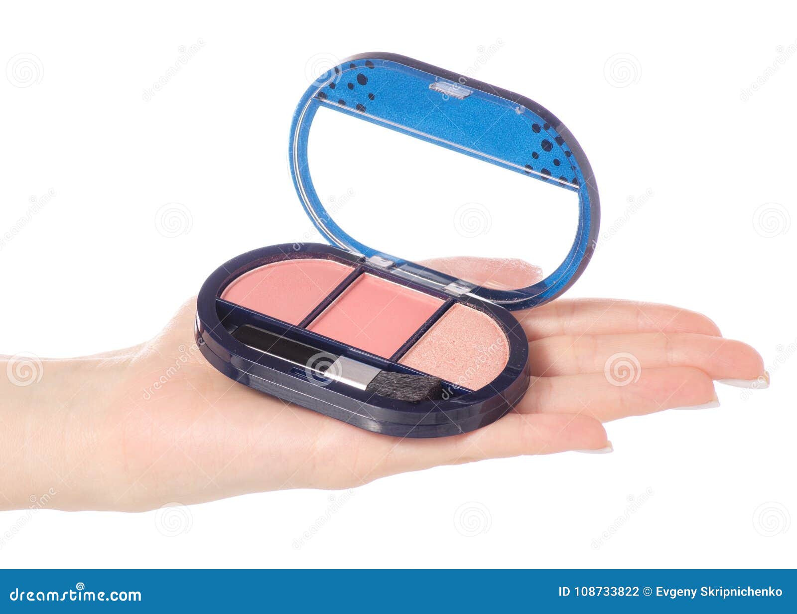 Blush in hand stock photo. Image of cosmetology, fashion - 108733822