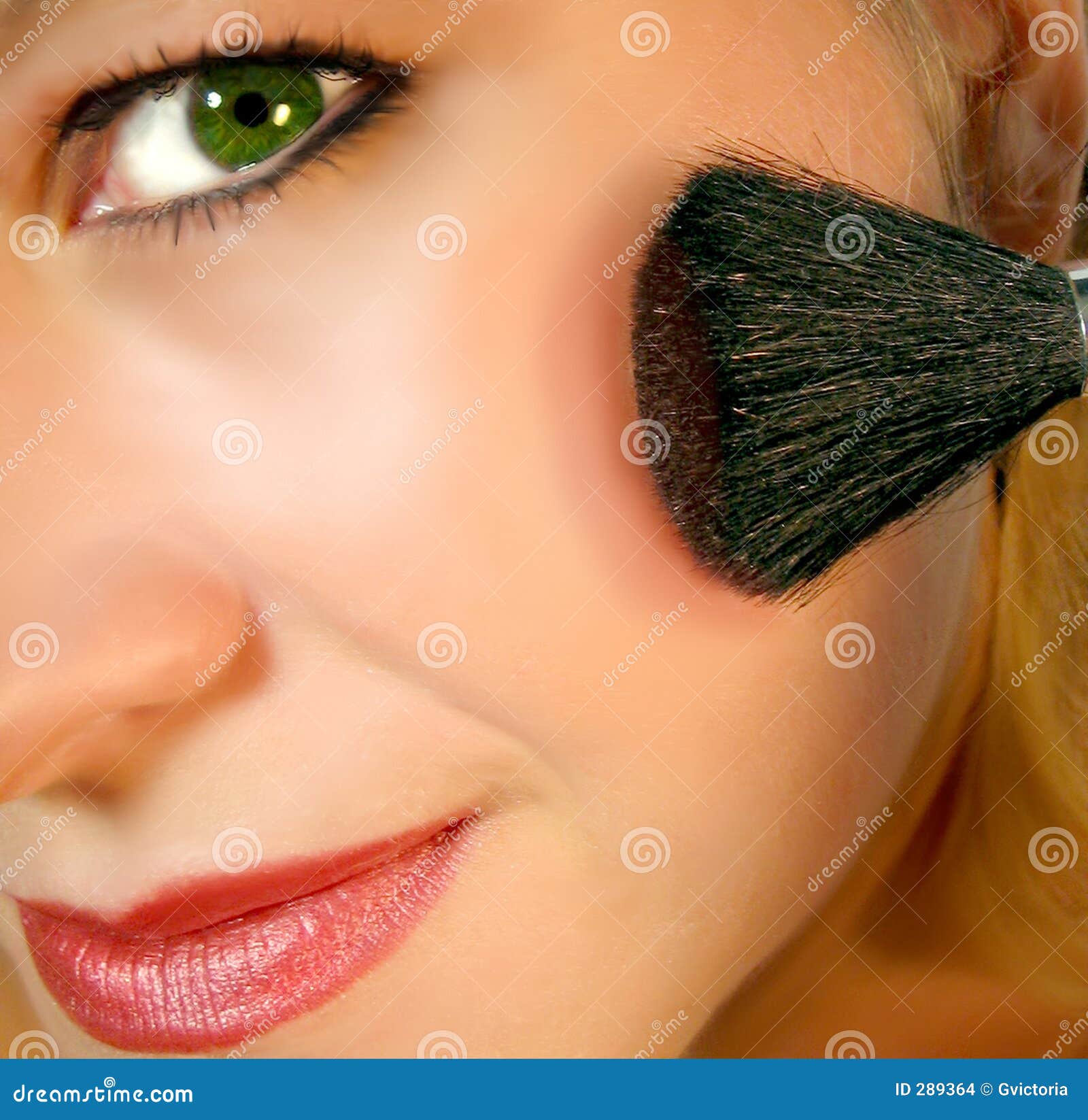 Blushing stock photo. Image of glamor, beautyful, cheekbones - 289364