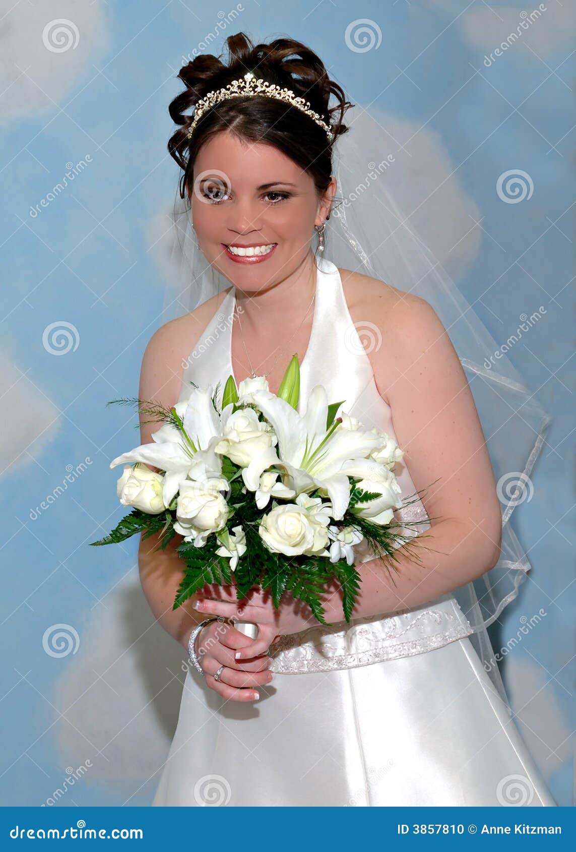 Blushing Bride Portrait stock photo. Image of dress, clothes - 3857810