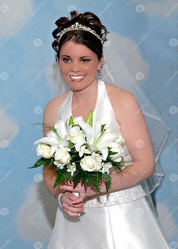 Blushing Bride Portrait stock photo. Image of dress, clothes - 3857810
