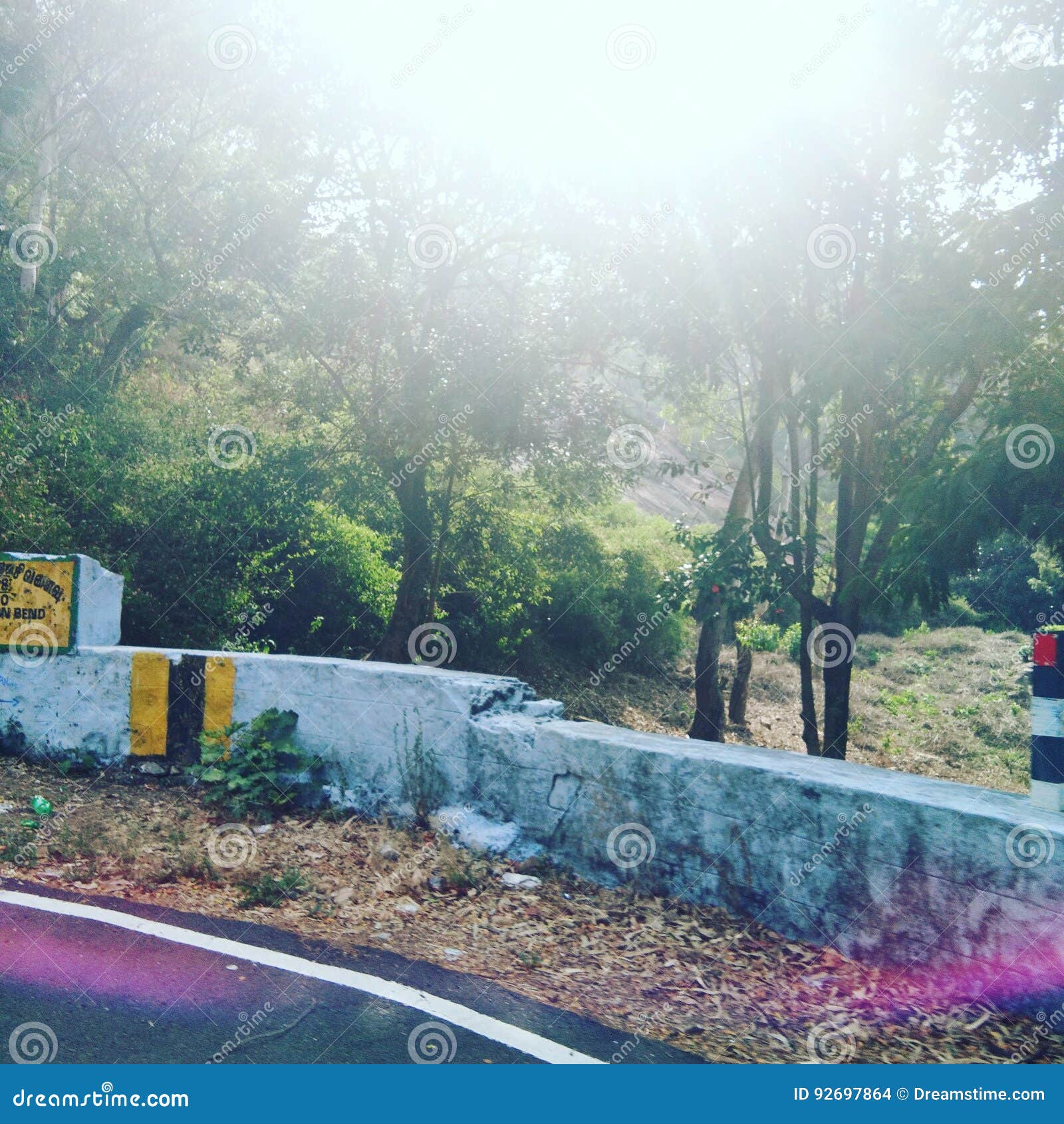 Blushing sun stock photo. Image of senpai, tree, blushing - 92697864