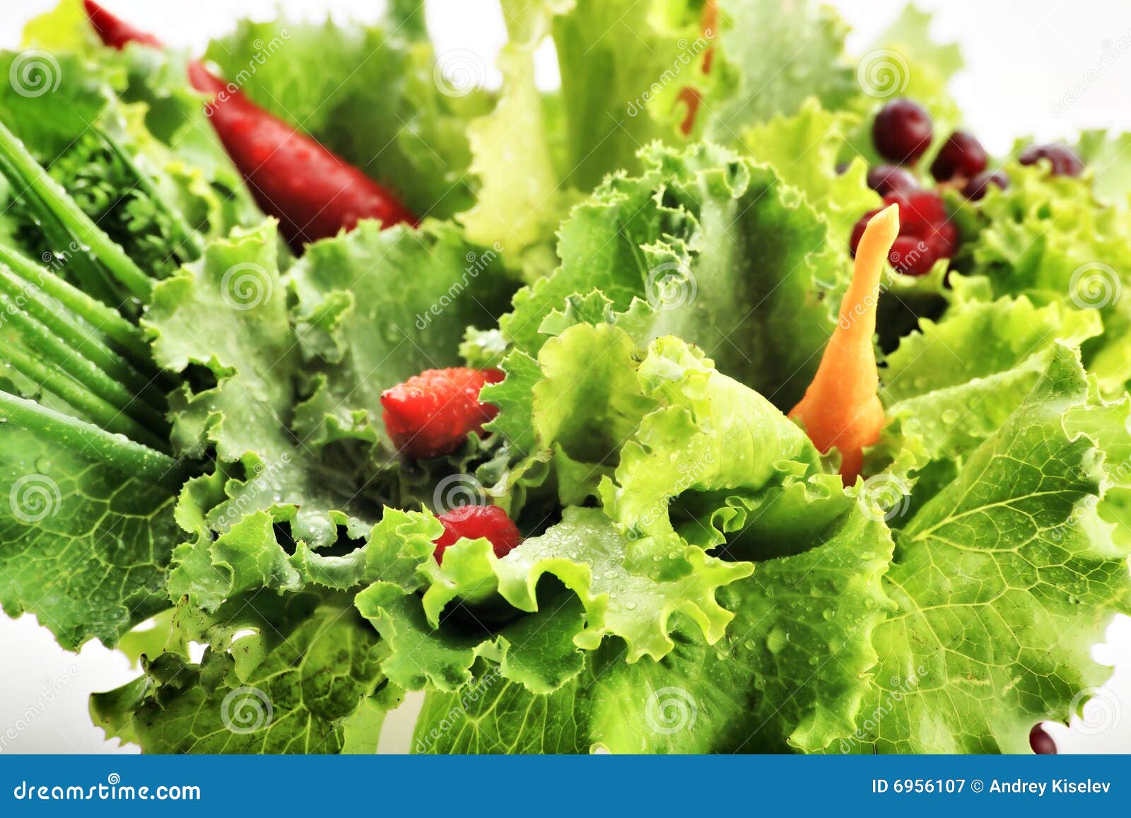 Blust green stock image. Image of ingredients, freshness - 6956107