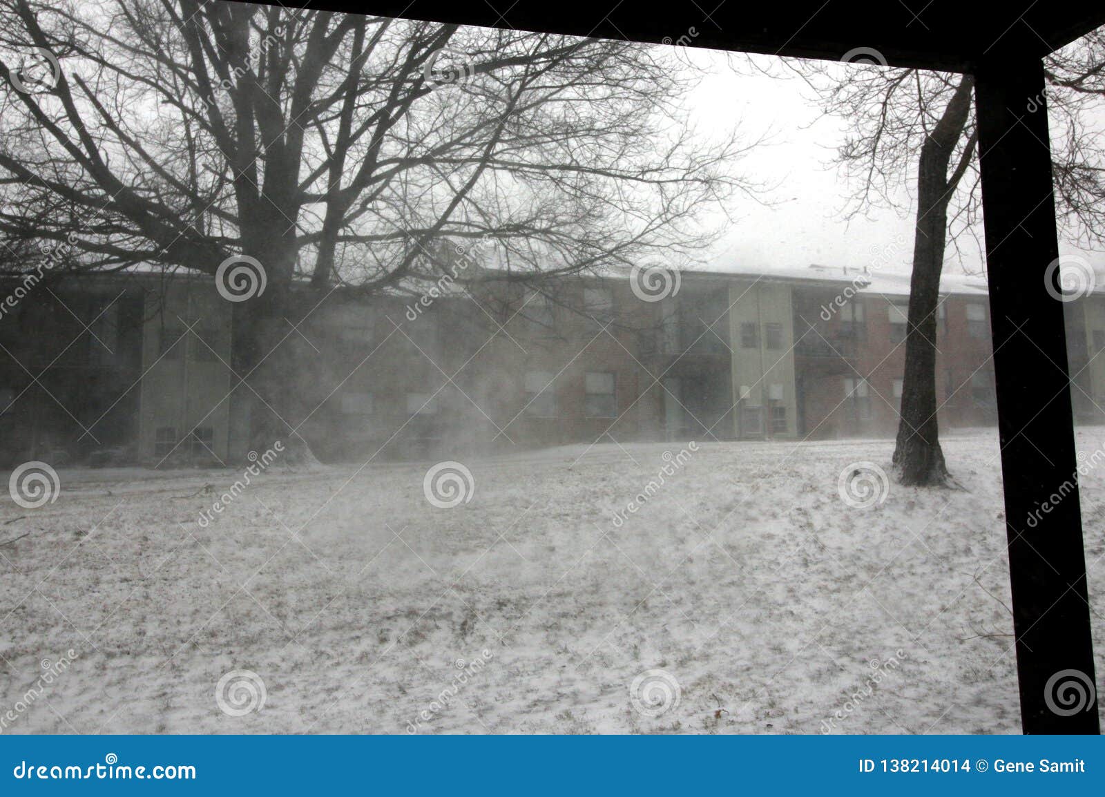 A Blustery Day with a Blizzard. Stock Photo - Image of snowstorm, white ...