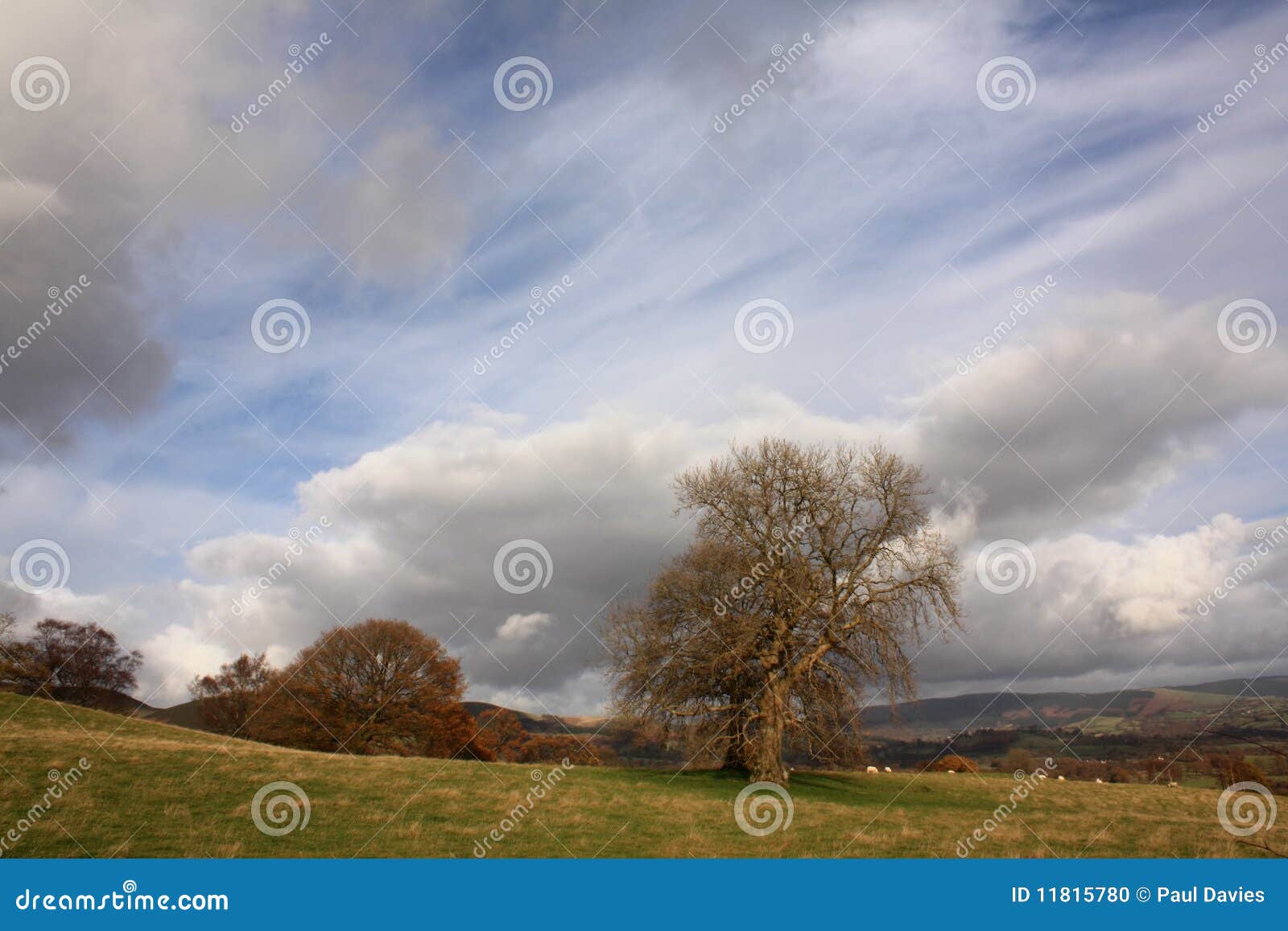 Blustery Day Wales stock photo. Image of clouds, rural - 11815780