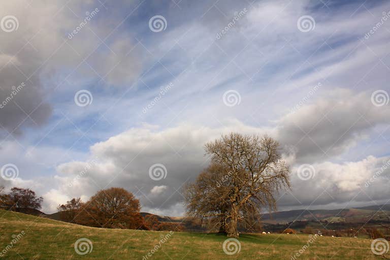 Blustery Day Wales stock photo. Image of clouds, rural - 11815780
