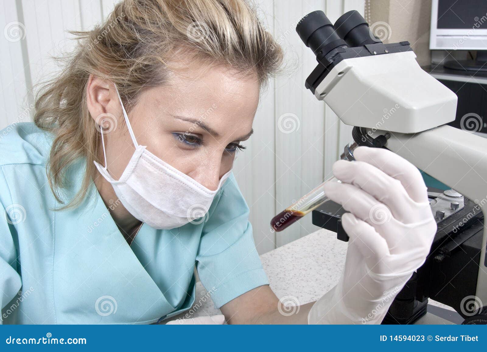 Blutanalyse stockbild. Bild von musterstück, probe, experiment - 14594023