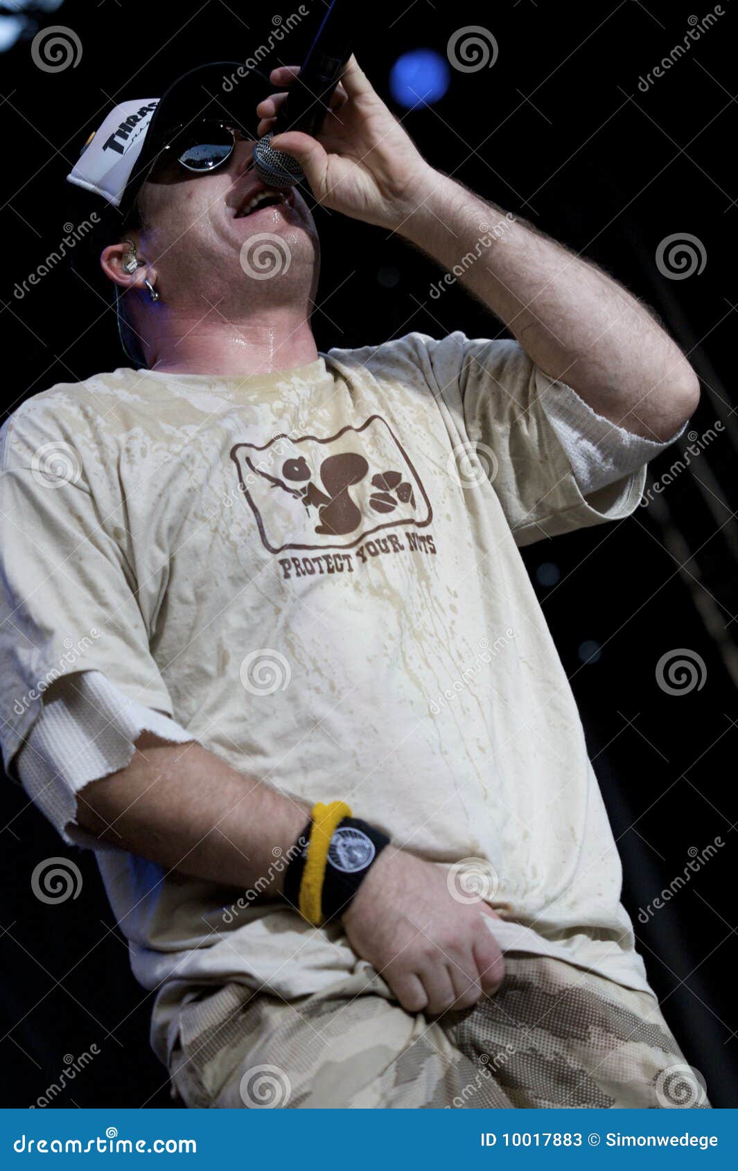 Bluthund-Gruppe redaktionelles stockfoto. Bild von konzerte - 10017883