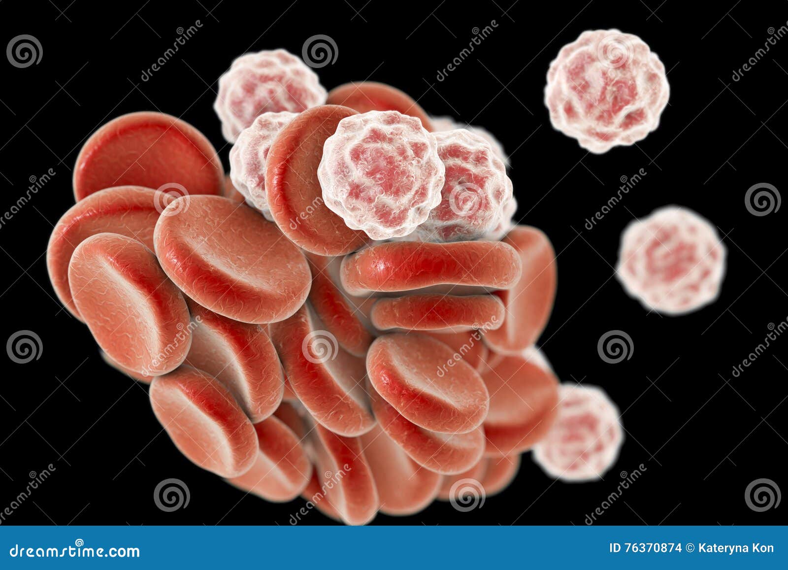 Blutzellen, Illustration 3D Stock Abbildung - Illustration von zelle ...