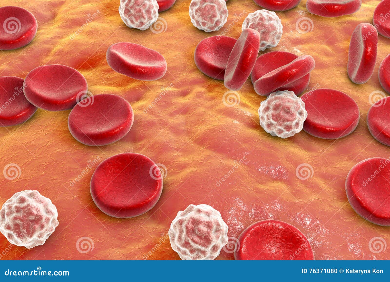 Blutzellen, Illustration 3D Stock Abbildung - Illustration von makro ...