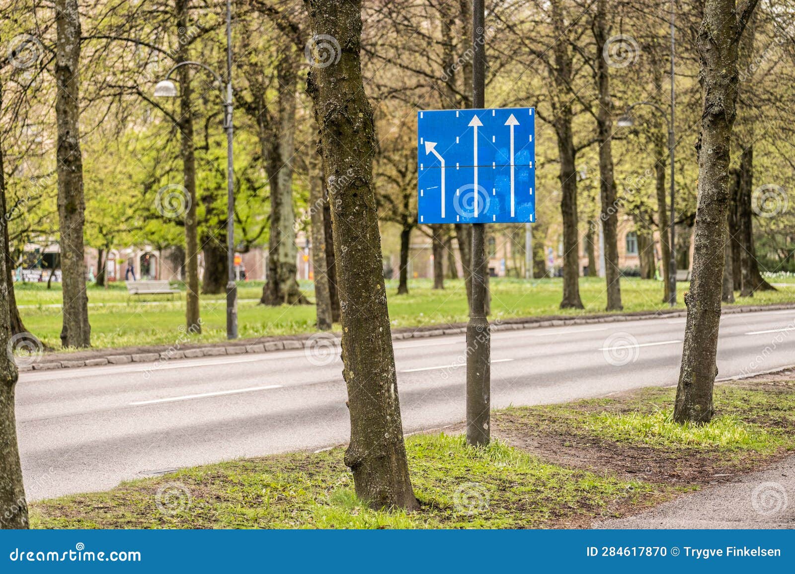 Blye Sign Showing Two Lanes Continuing Ahead and One Turning Left ...