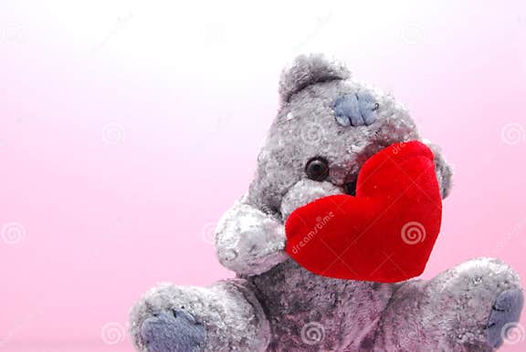 Blyg nalle arkivfoto. Bild av bära, rosa, symbol, rött - 4100274