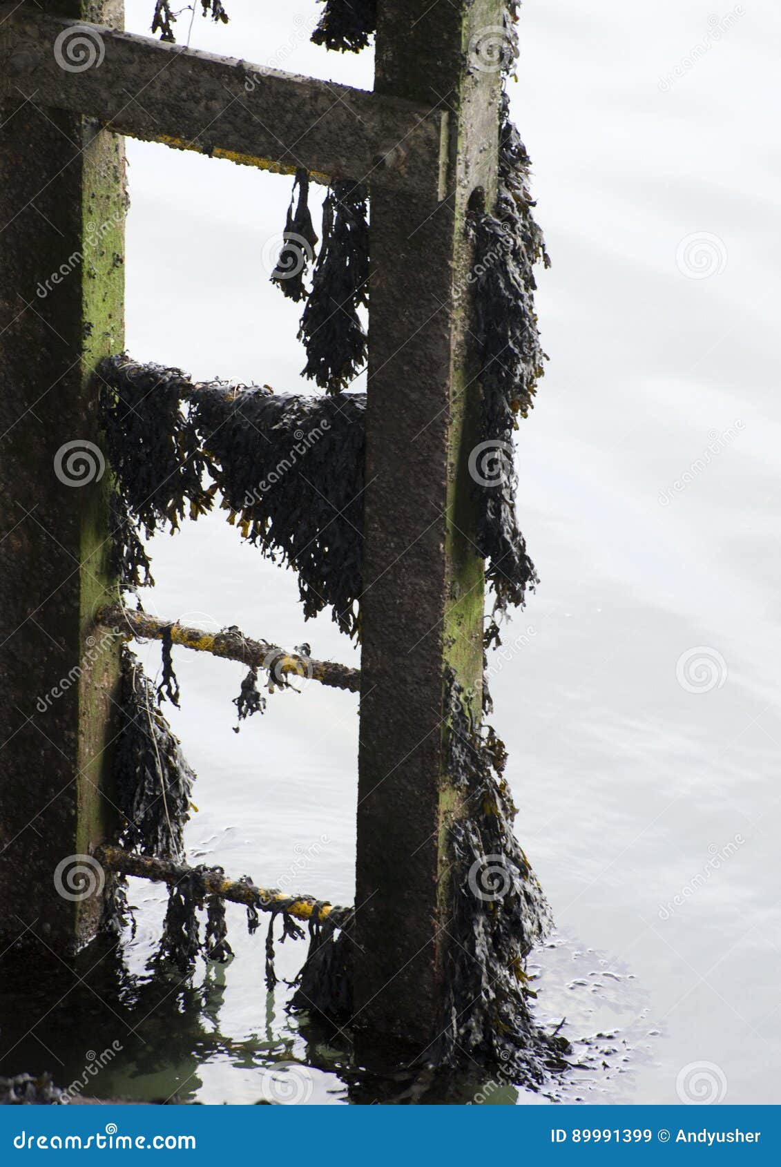 Blyth Dock stock image. Image of blyth, buoy, dock, high - 89991399