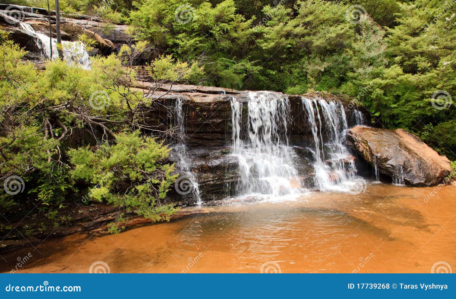 BM WF Wide Sunny stock photo. Image of river, foliage - 17739268