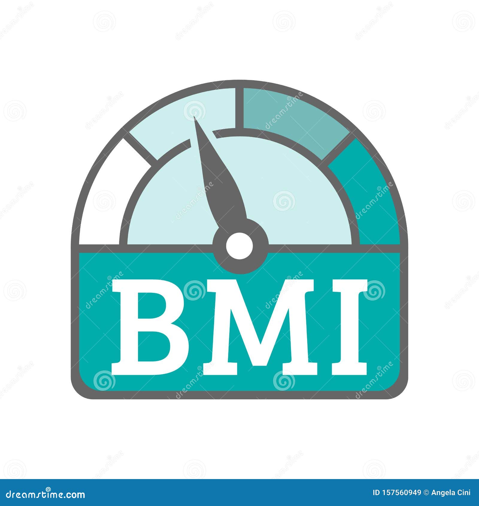 Bmi Body Mass Index Pictogram Illustratie Vector Illustratie