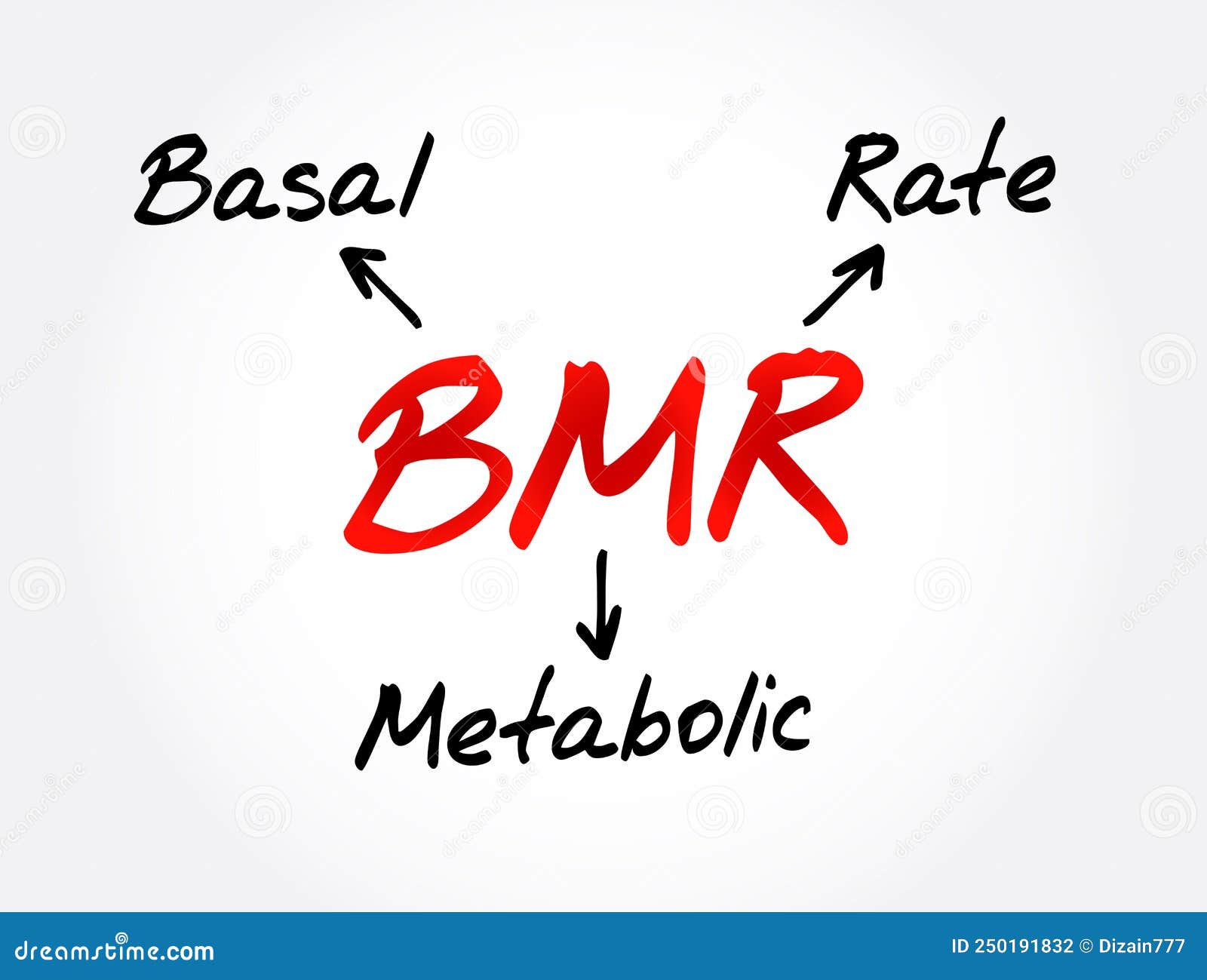 BMR - Basal Metabolic Rate Acronym, Concept Background Royalty-Free ...