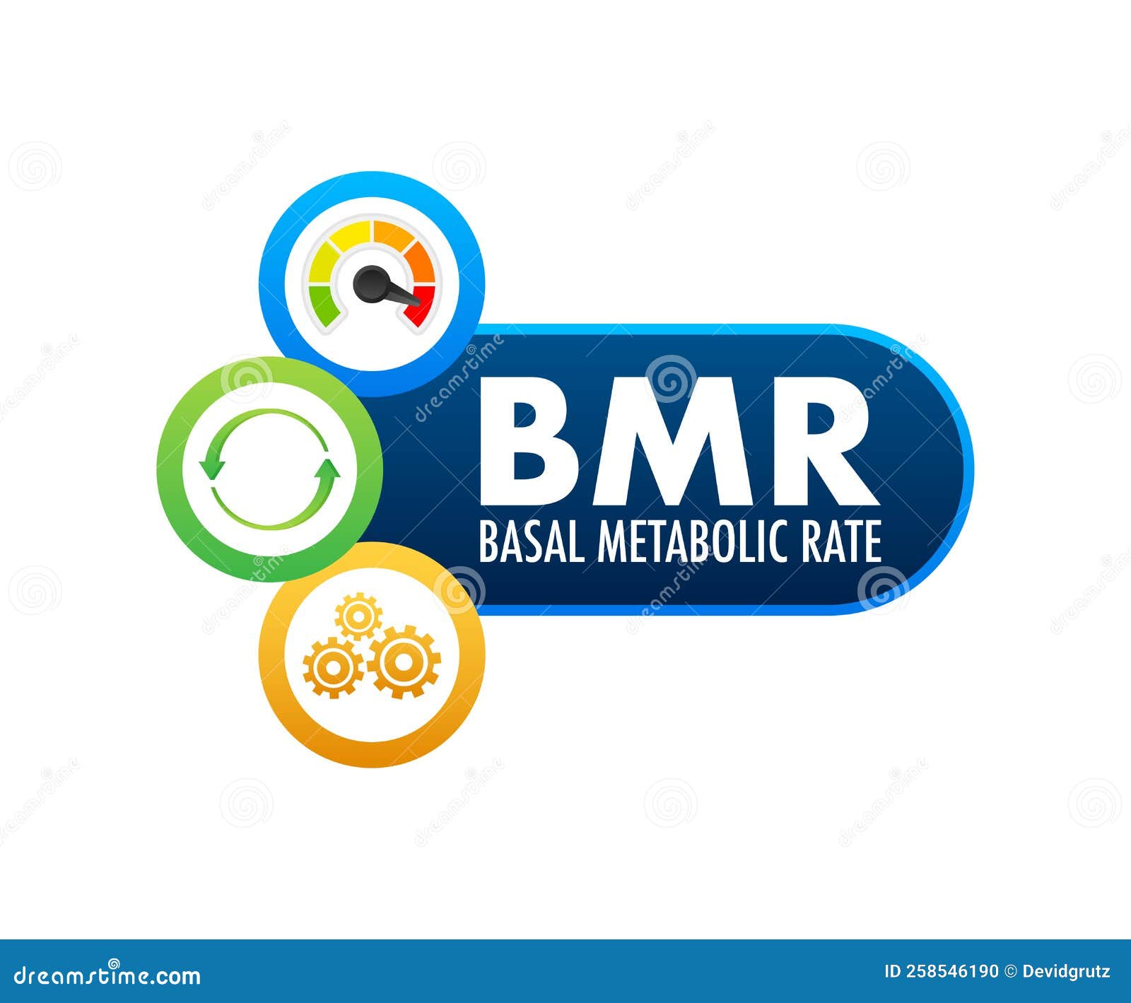 BMR - Basal Metabolic Rate Acronym. Vector Stock Illustration. Stock ... BMR - Basal Metabolic Rate Acronym. Vector Stock Illustration. Stock ...