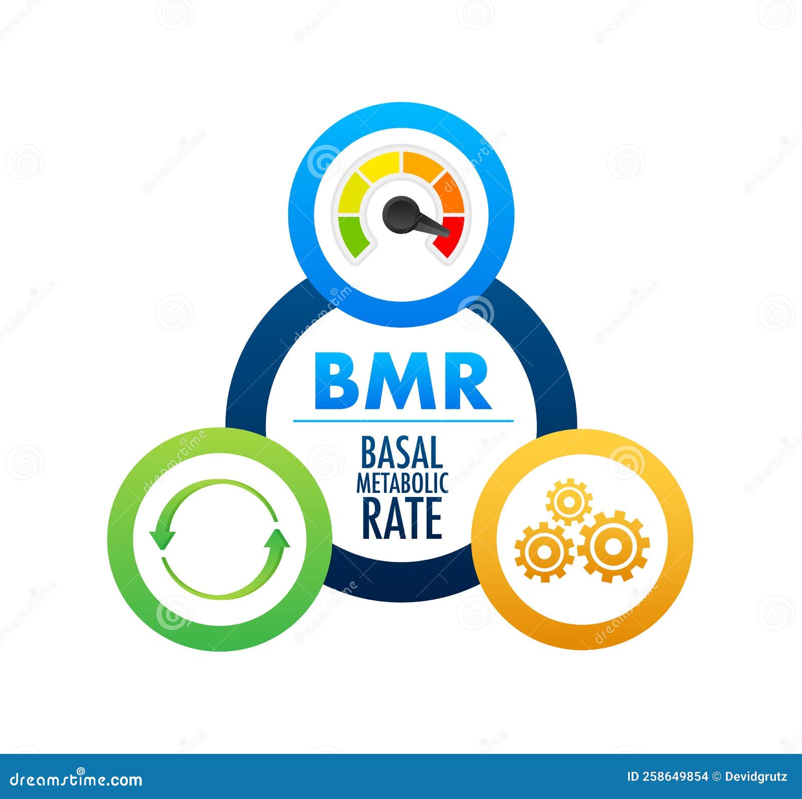 BMR - Basal Metabolic Rate Acronym. Vector Stock Illustration. Stock ... BMR - Basal Metabolic Rate Acronym. Vector Stock Illustration. Stock ...