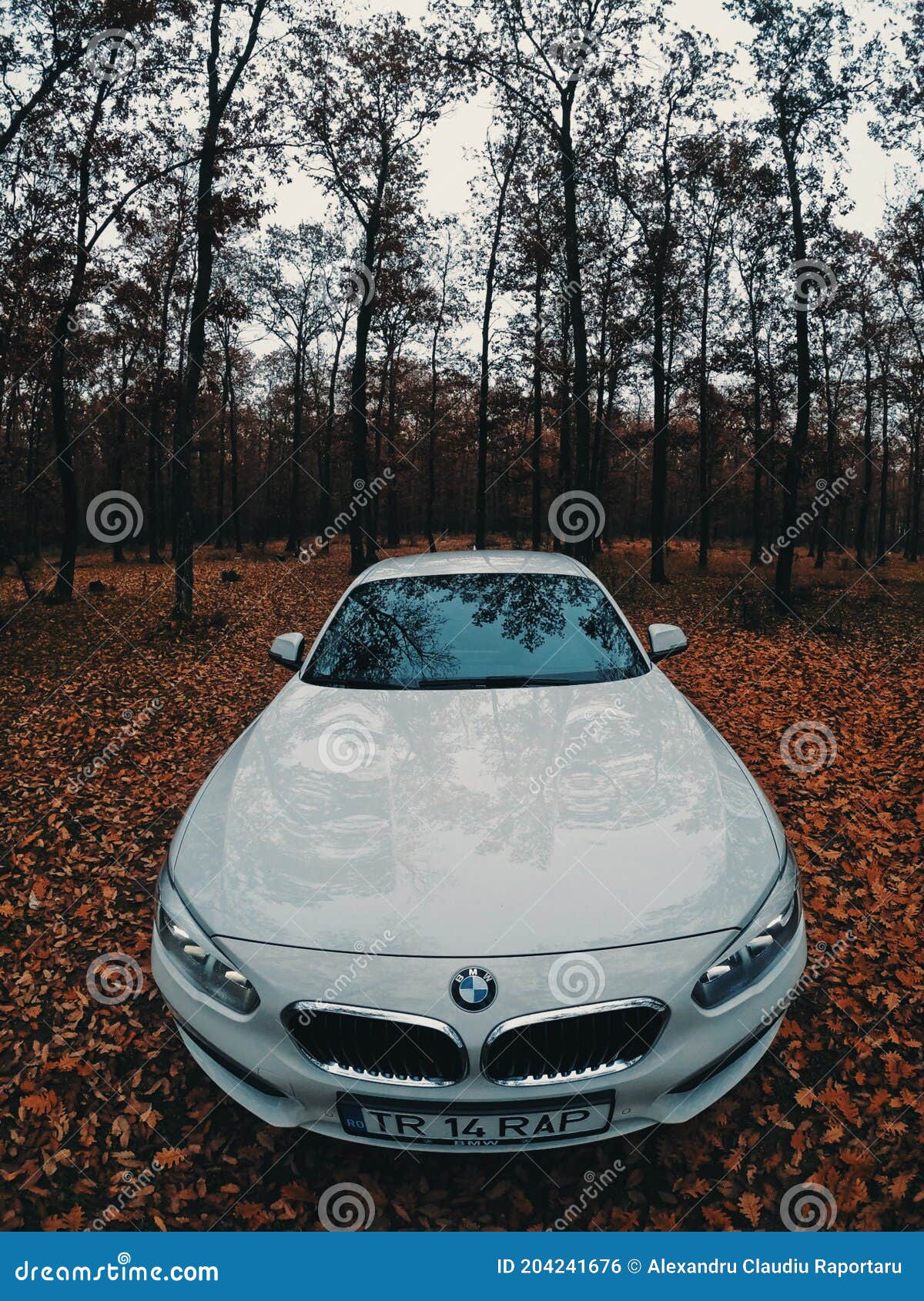 BMW in forest editorial photo. Image of plants, nature - 204241676