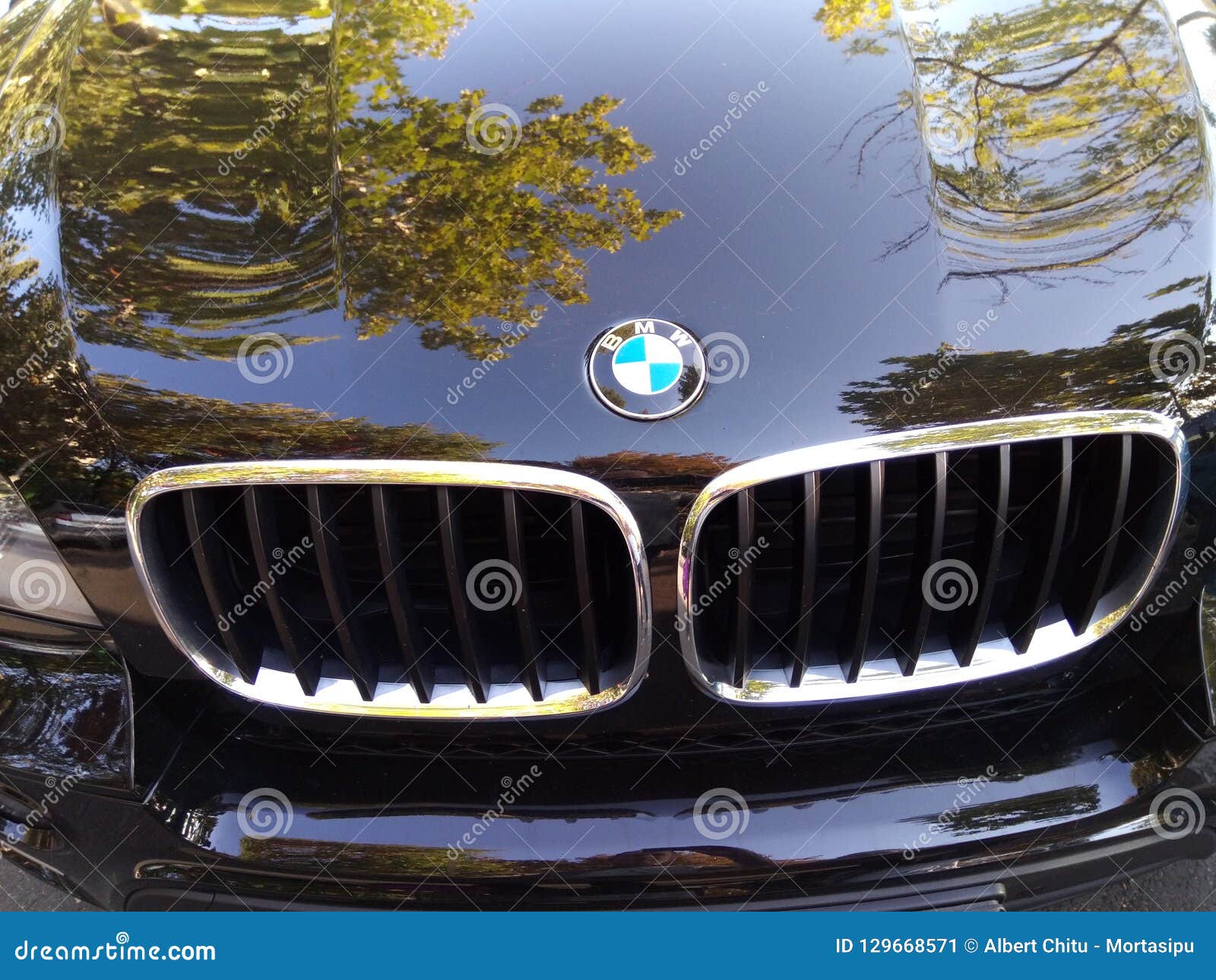 BMW front logo editorial photo. Image of logo, view - 129668571