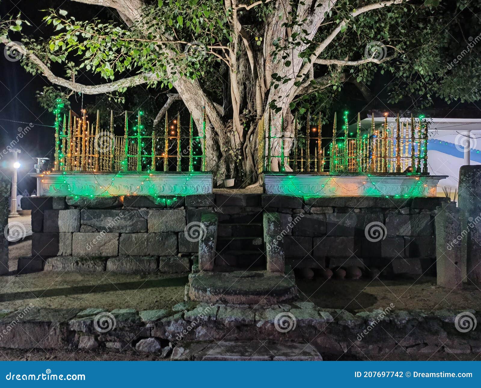 Bo tree en srilanka foto de archivo. Imagen de parque - 207697742