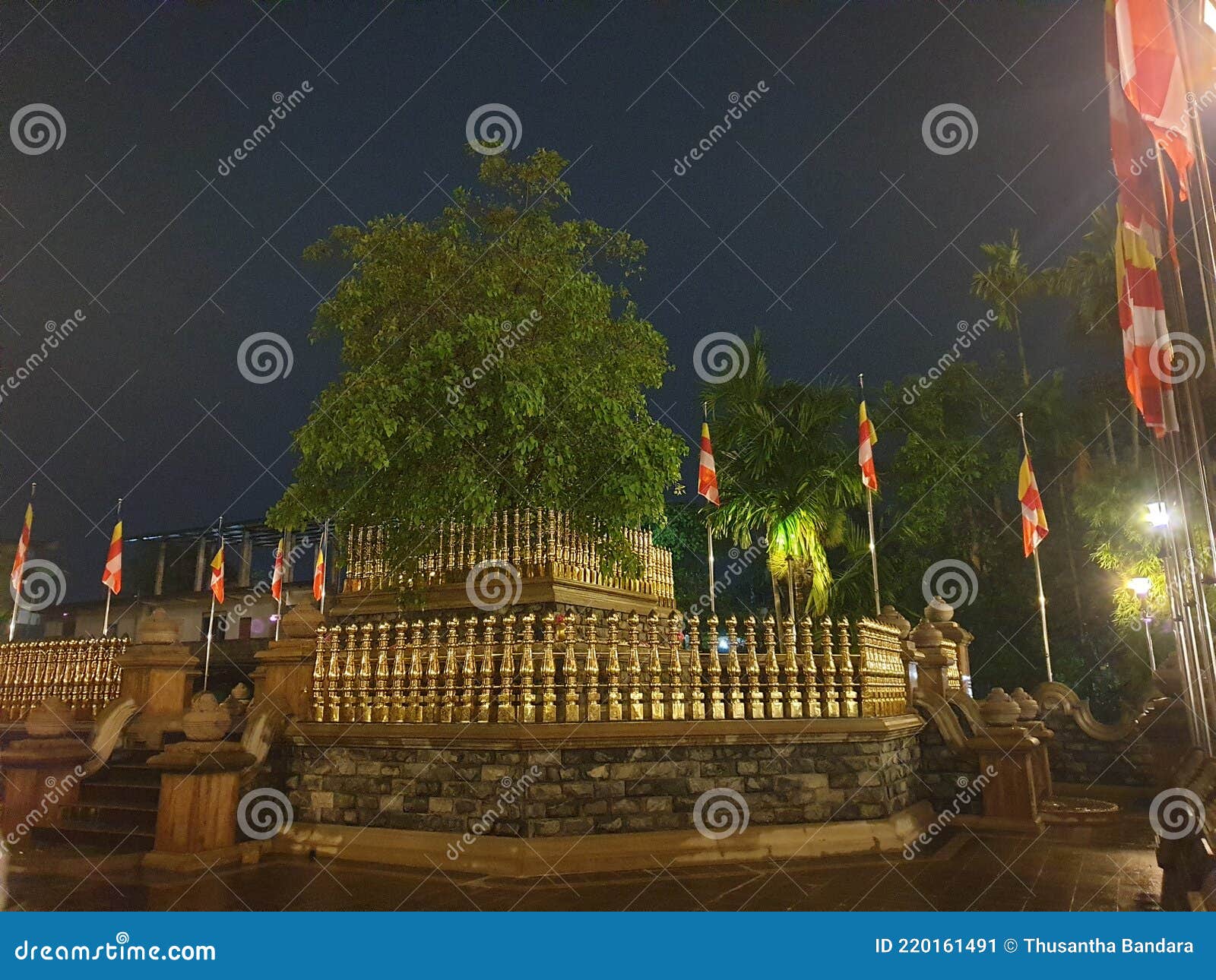 Bo tree in sri lanka stock image. Image of screenshot - 220161491