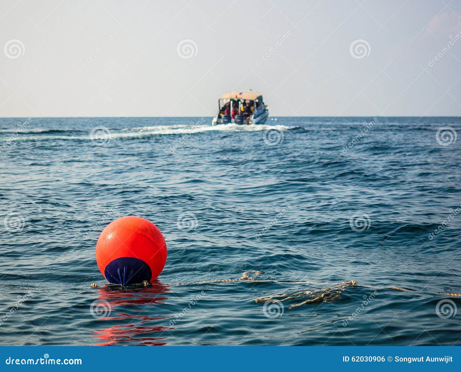 Boa Del Territorio Nel Mare Fotografia Stock - Immagine di zona ...