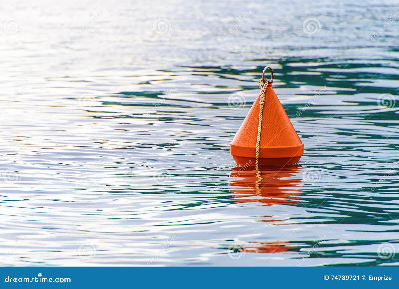 Boa Rossa Sulle Onde Del Mare Immagine Stock - Immagine di marino ...