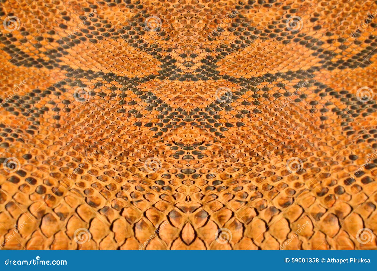Boa skin texture stock photo. Image of snake, nature - 59001358