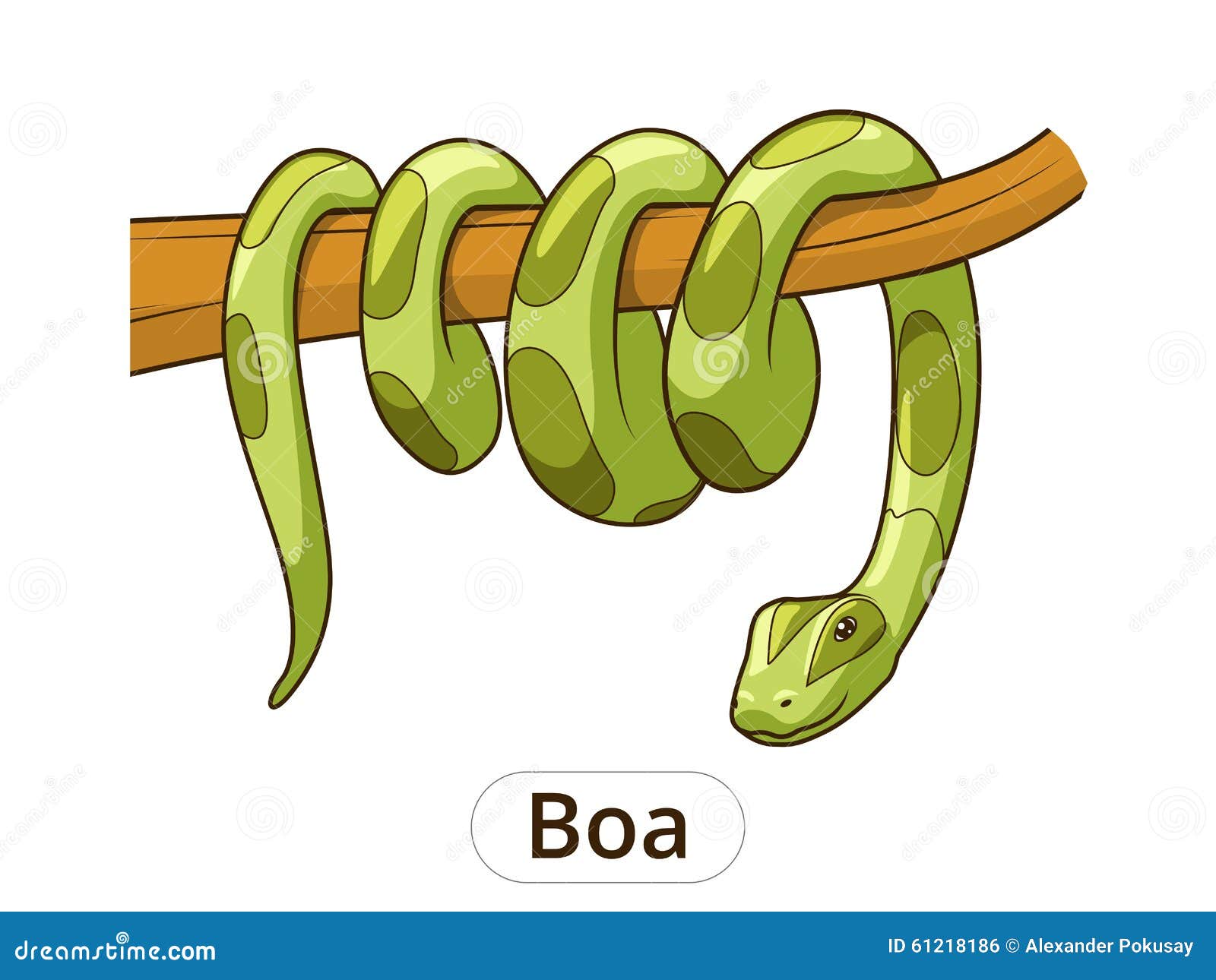 Boa Snake Cartoon Vector Illustration Stock Vector - Illustration of ...