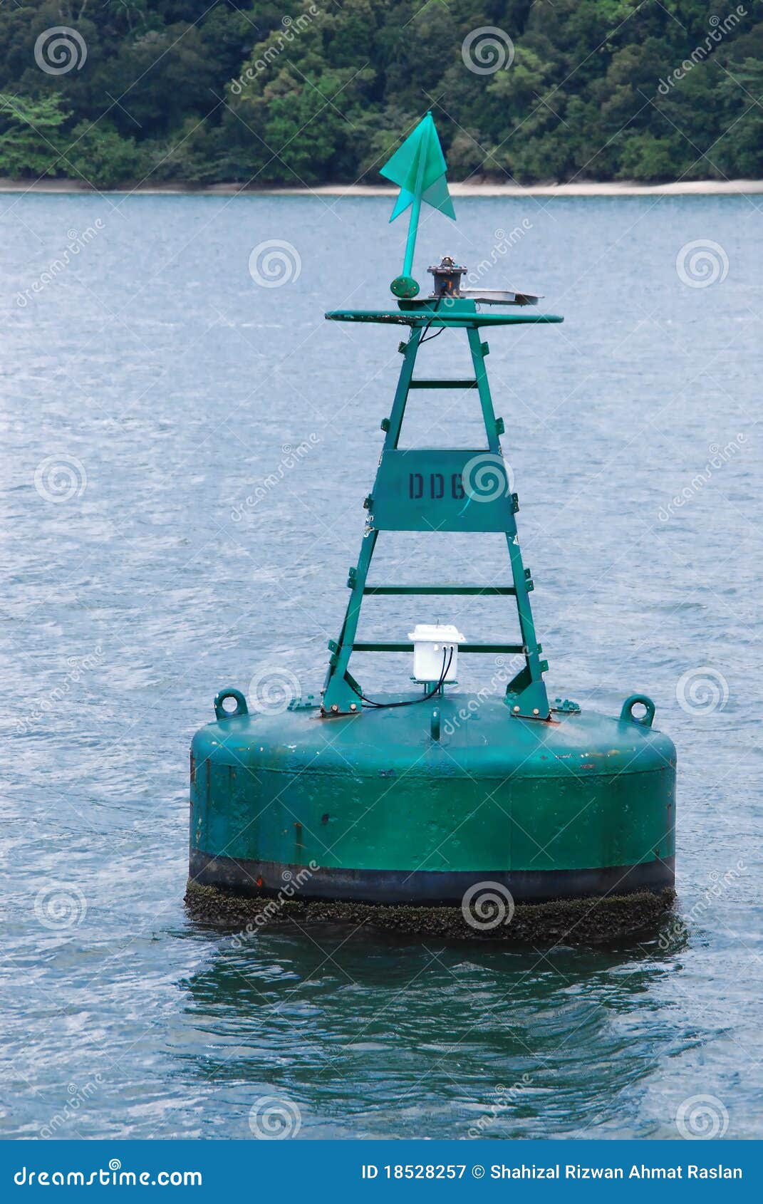 Boa Verde Dell'indicatore in Mare Immagine Stock - Immagine di pesca ...