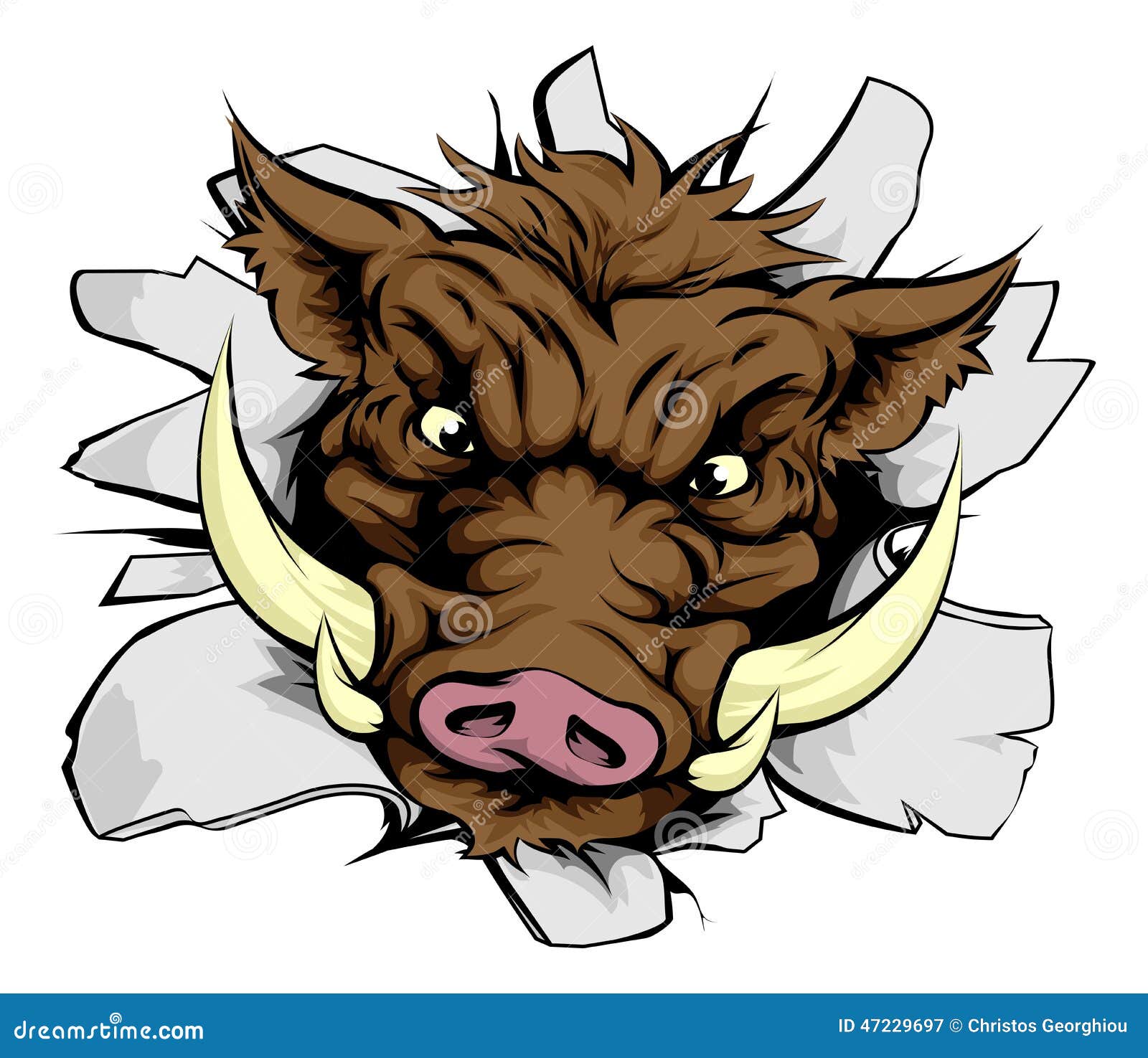 Boar charging through wall stock vector. Illustration of roaring - 47229697