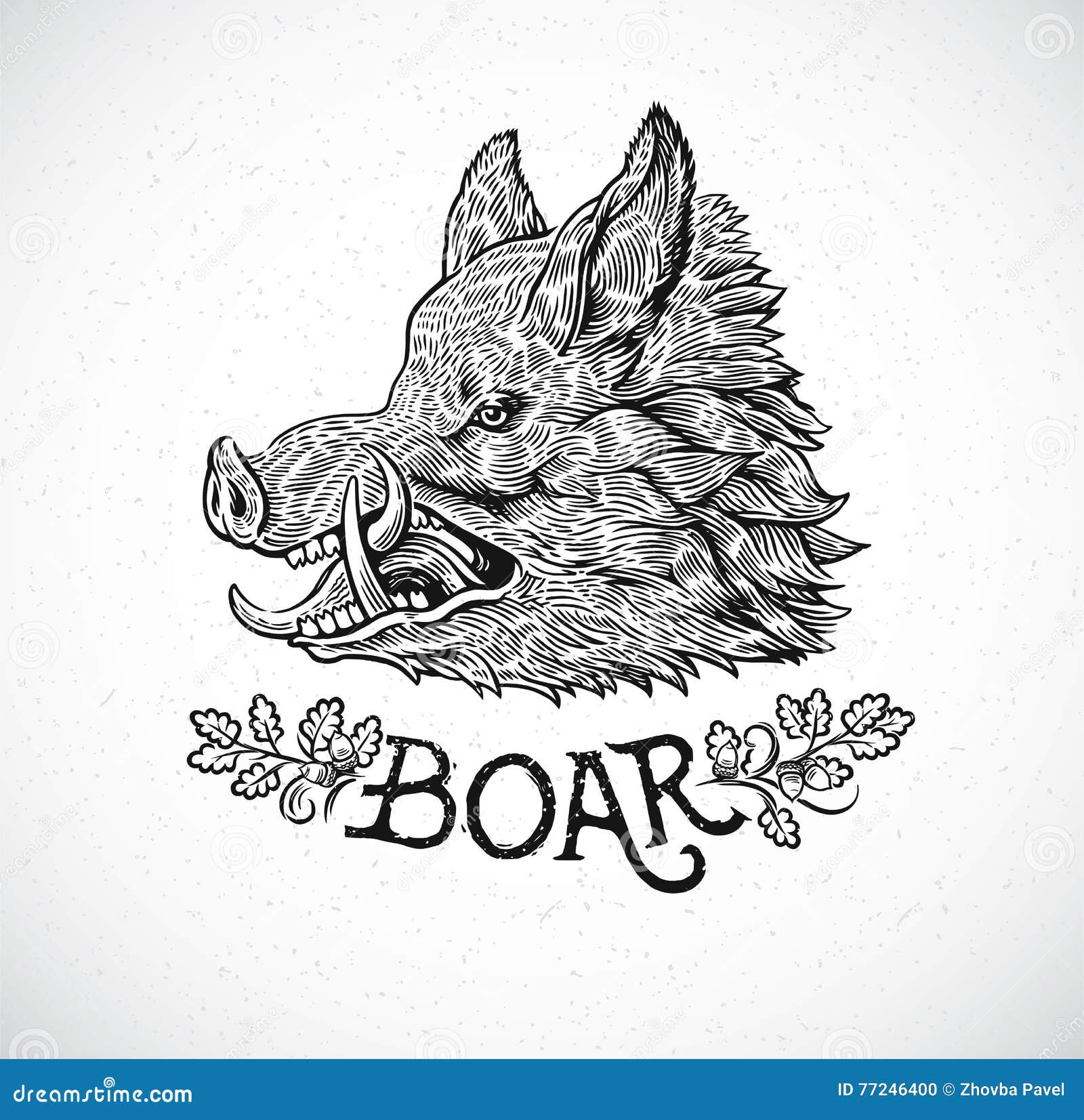 Boar head. stock vector. Illustration of hungry, design - 77246400