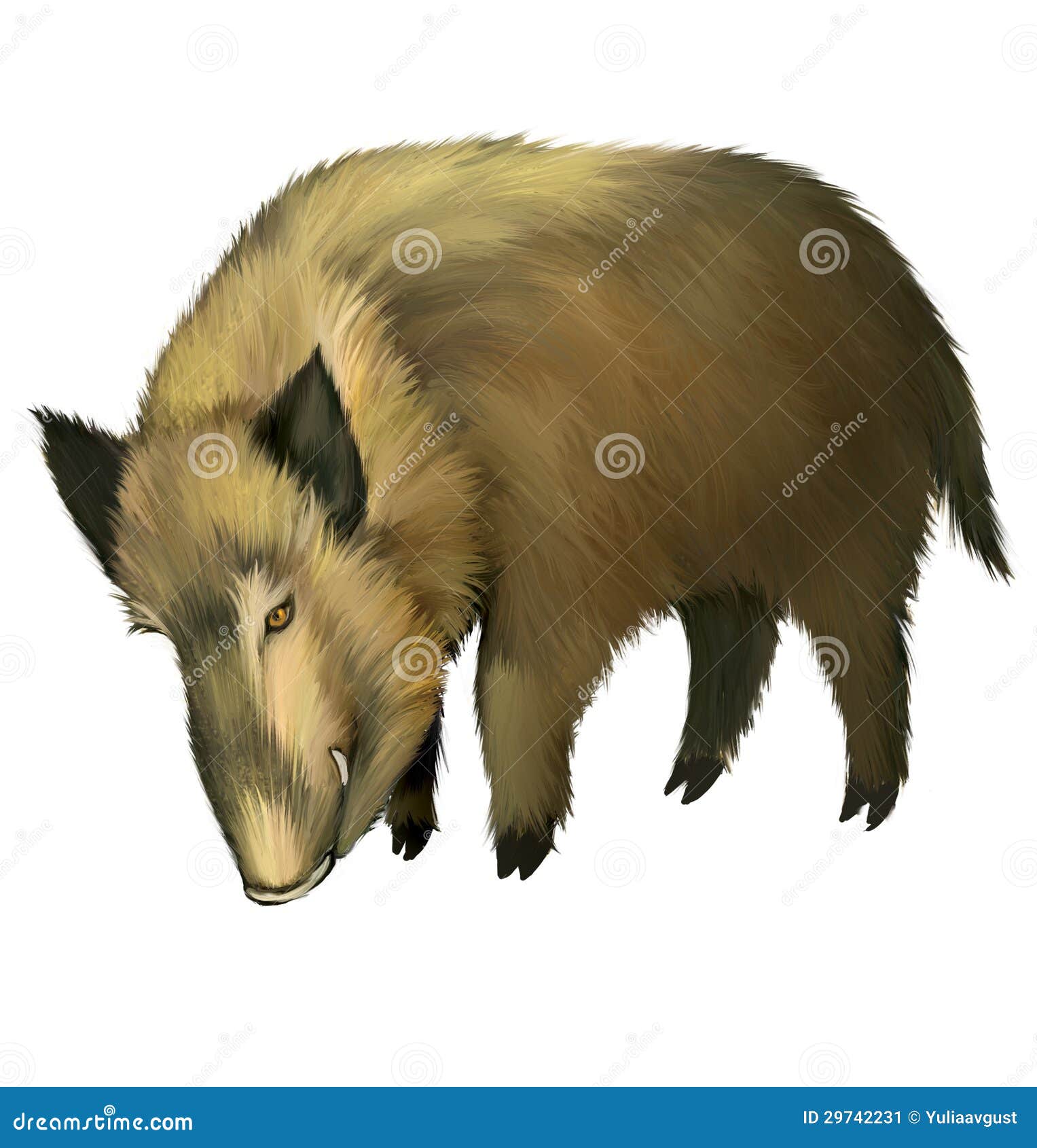 Boar. stock illustration. Illustration of animal, background - 29742231