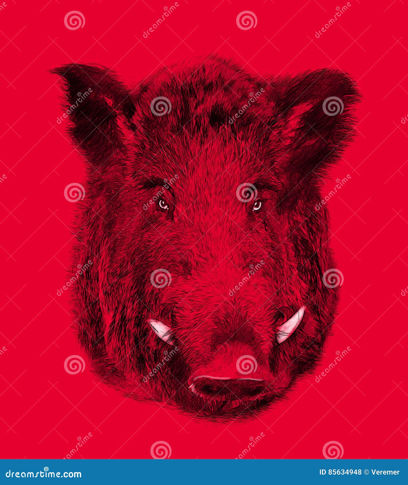 Boar on Red Background. Illustration in Draw Stock Illustration ...