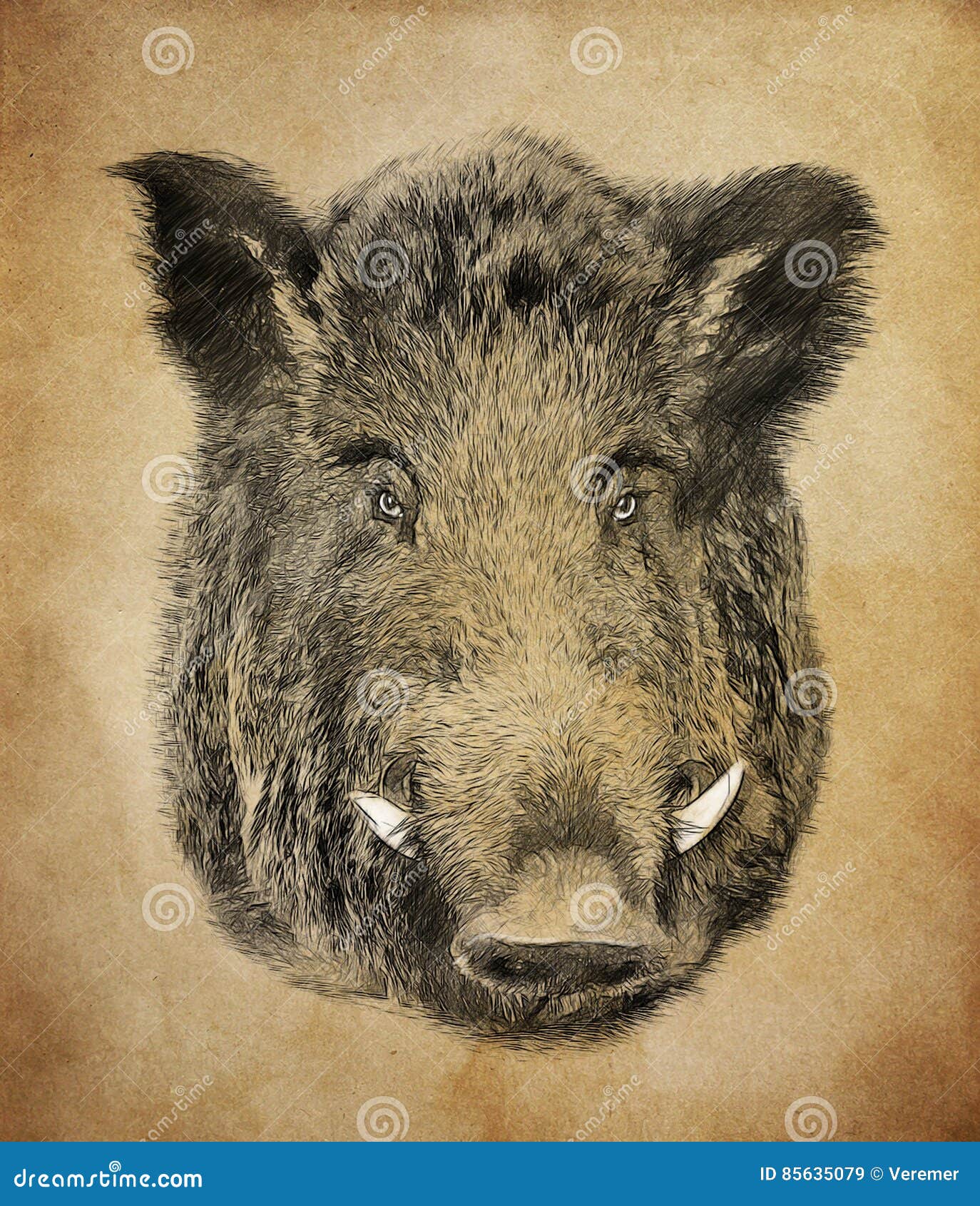 Boar on Red Background. Illustration in Draw, Sketch Style. Stock ...