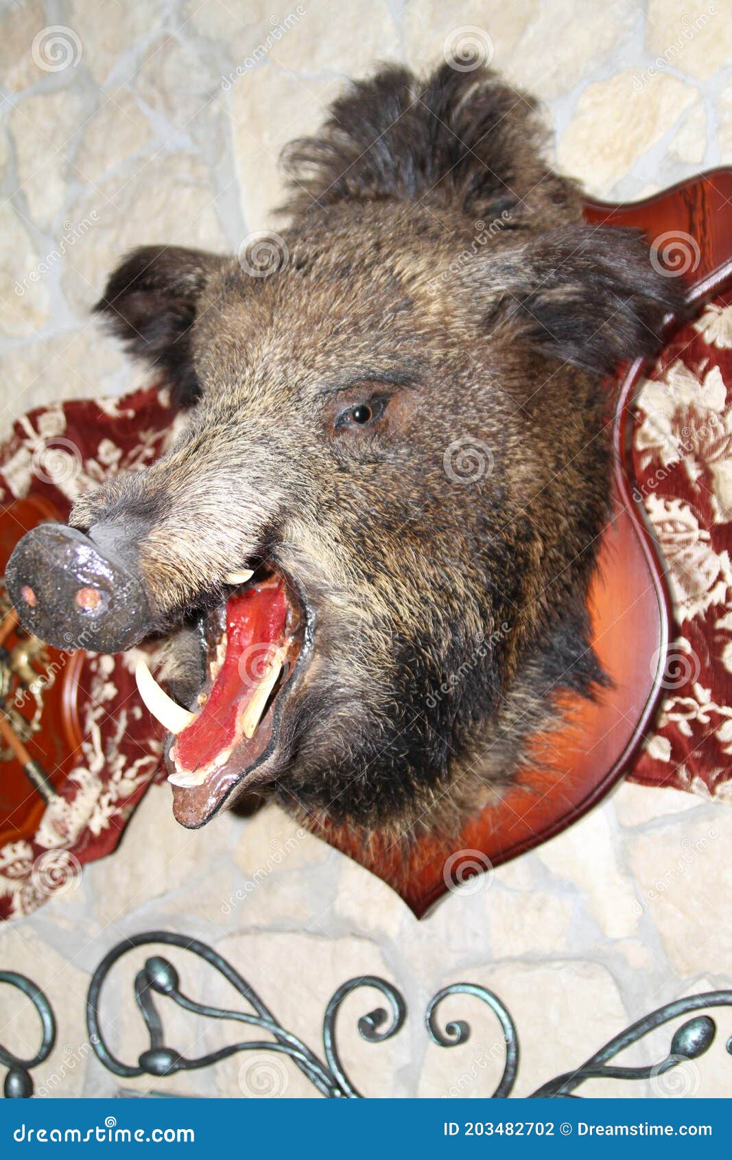 Boar stock photo. Image of mockup, handmade, animal - 203482702
