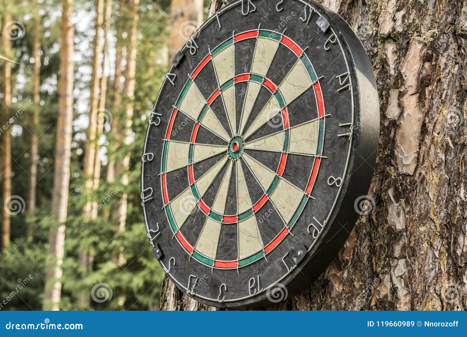Board for Darts Installed on the Trunk of Pine Stock Image - Image of ...