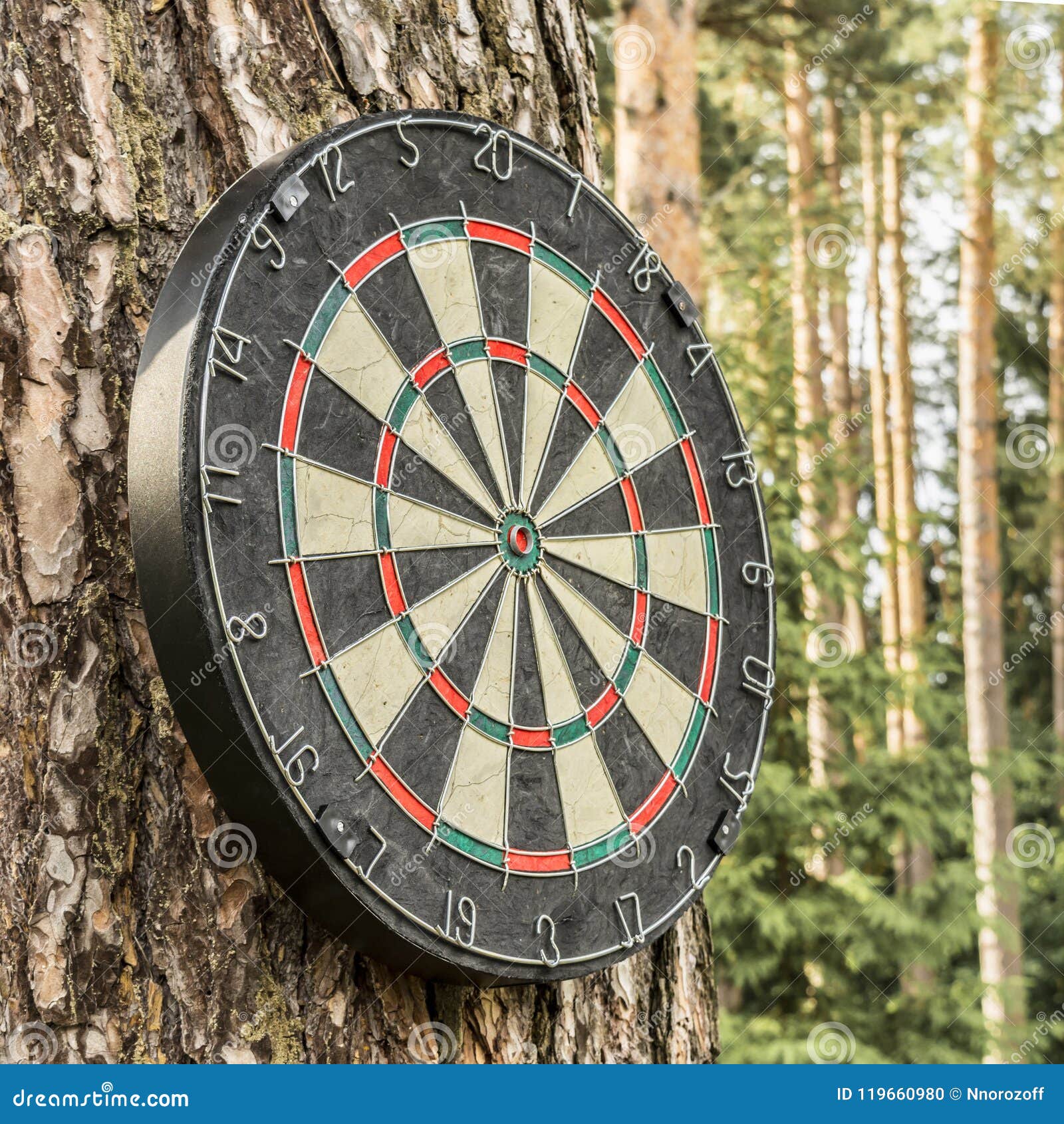 Board for Darts Installed on the Trunk of Pine Stock Photo - Image of ...
