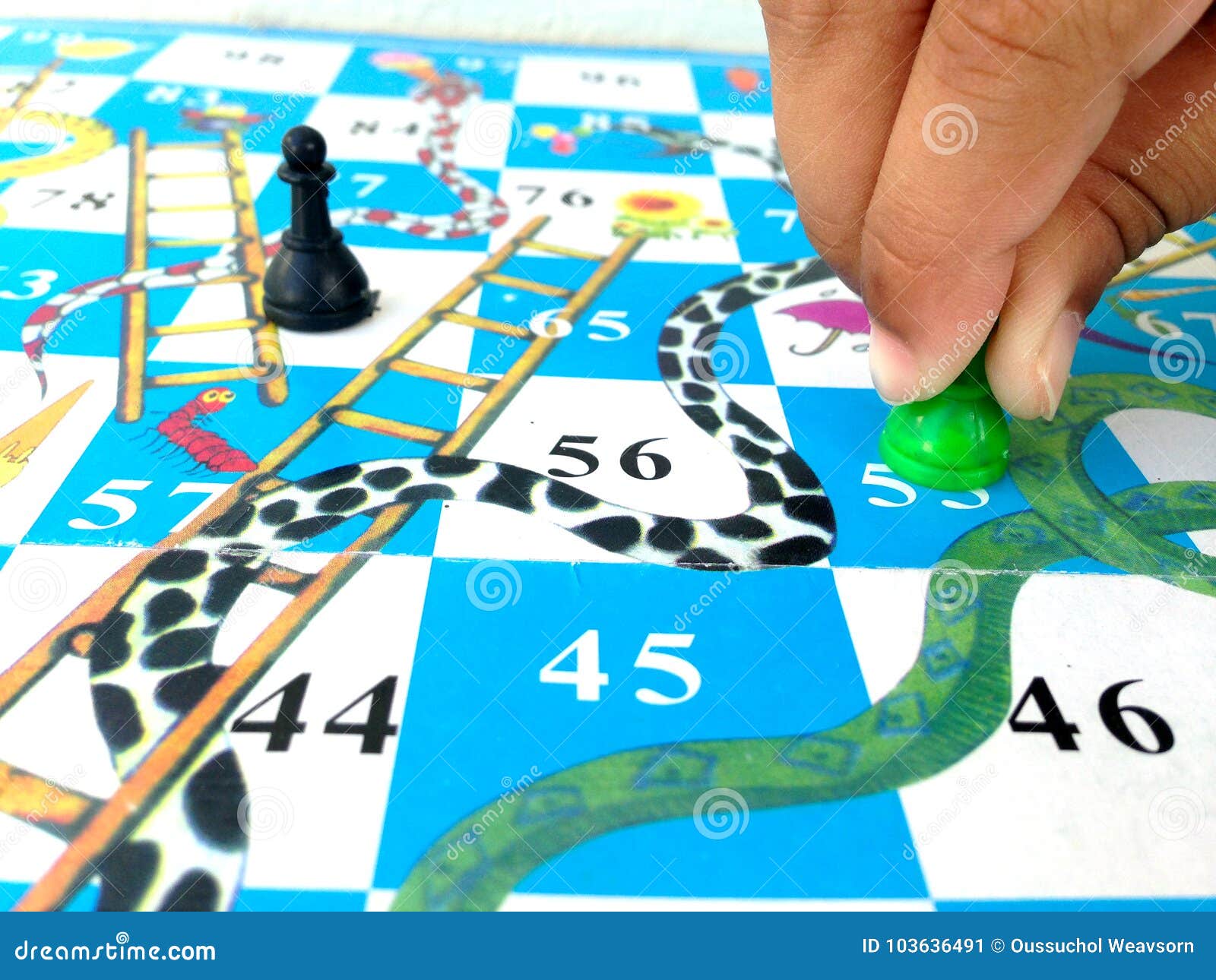 Board Game Theme Image, Snake Stock Image - Image of wildlife, nature ...
