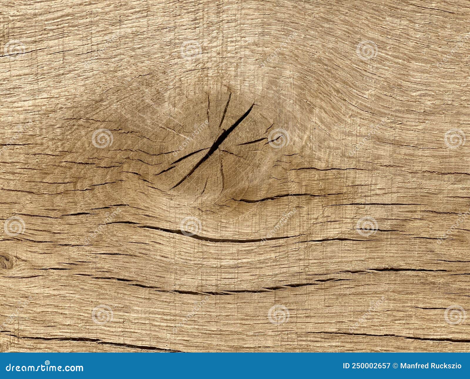 Board, knothole stock image. Image of botany, board - 250002657